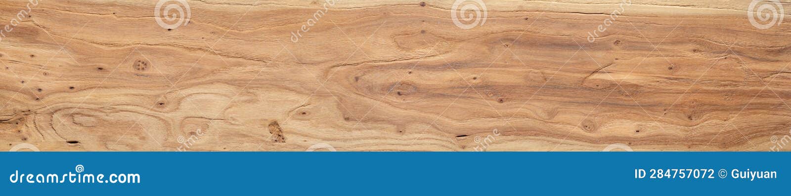 Elm Wood Texture. Extra Long Elm Planks Texture Background. Wide ...