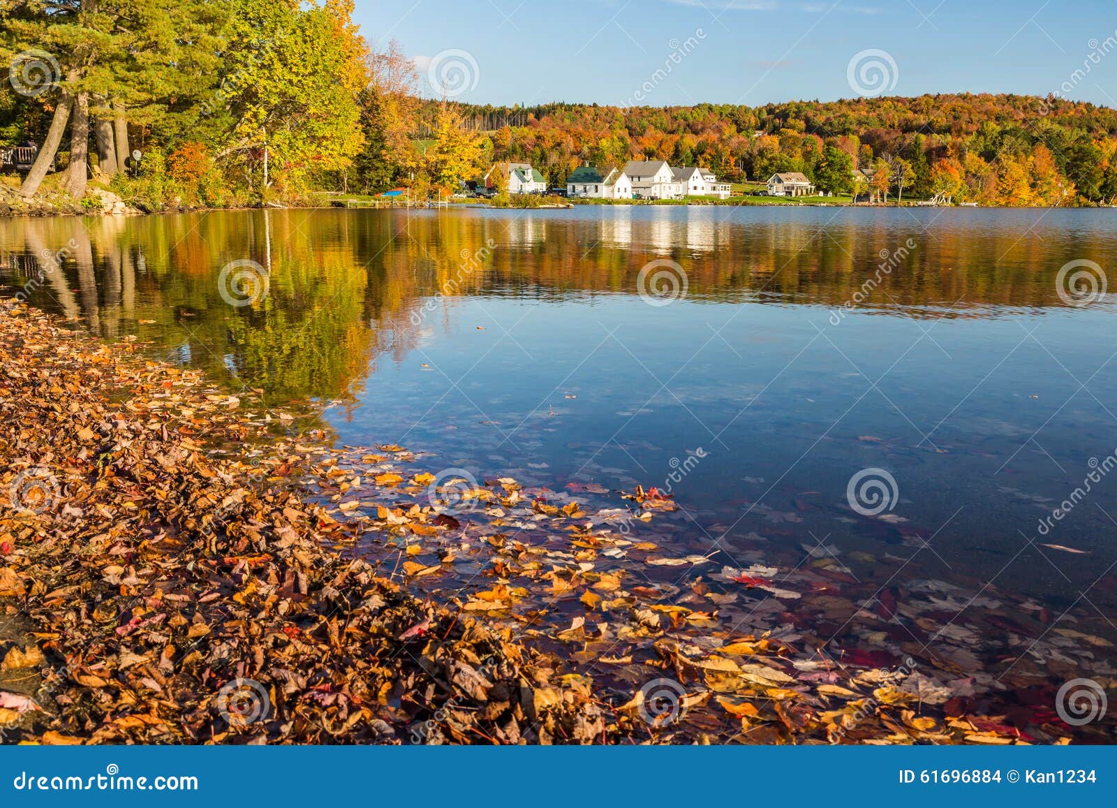 Elmore State Park in Autumn Stock Photo - Image of maine, elmore: 61696884