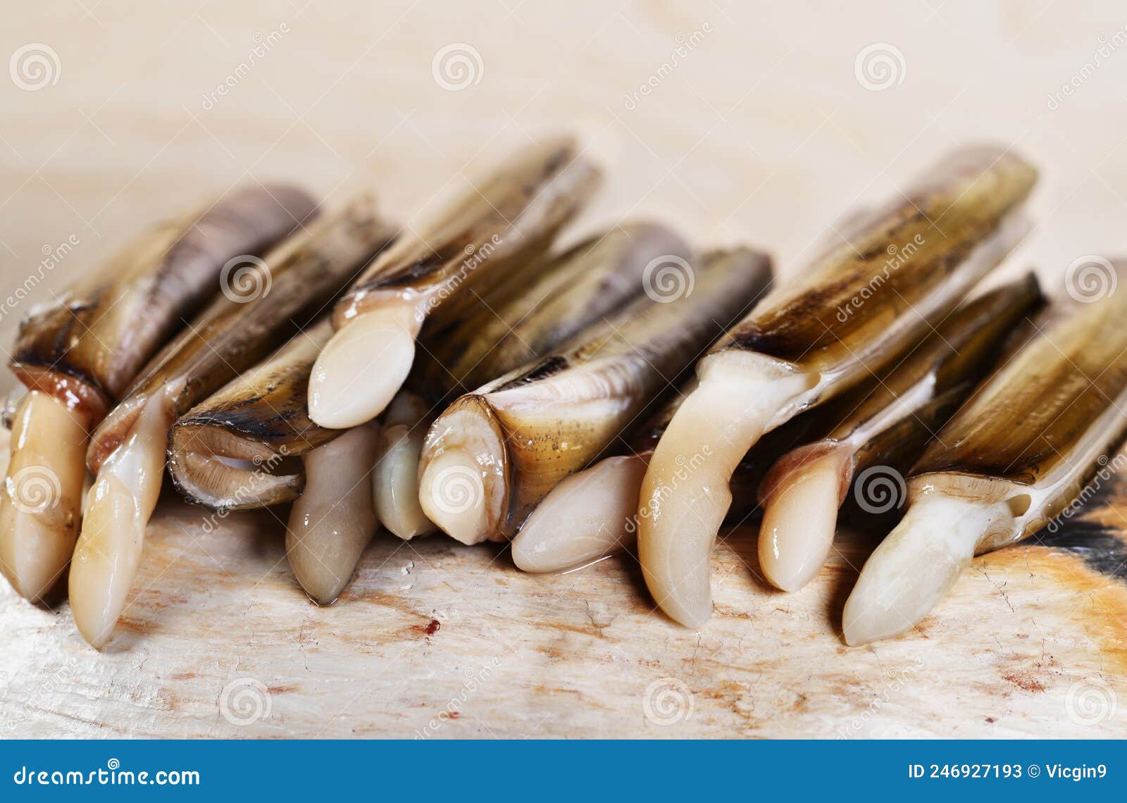 Heap of razor shell stock image. Image of food, mollusk - 246927193