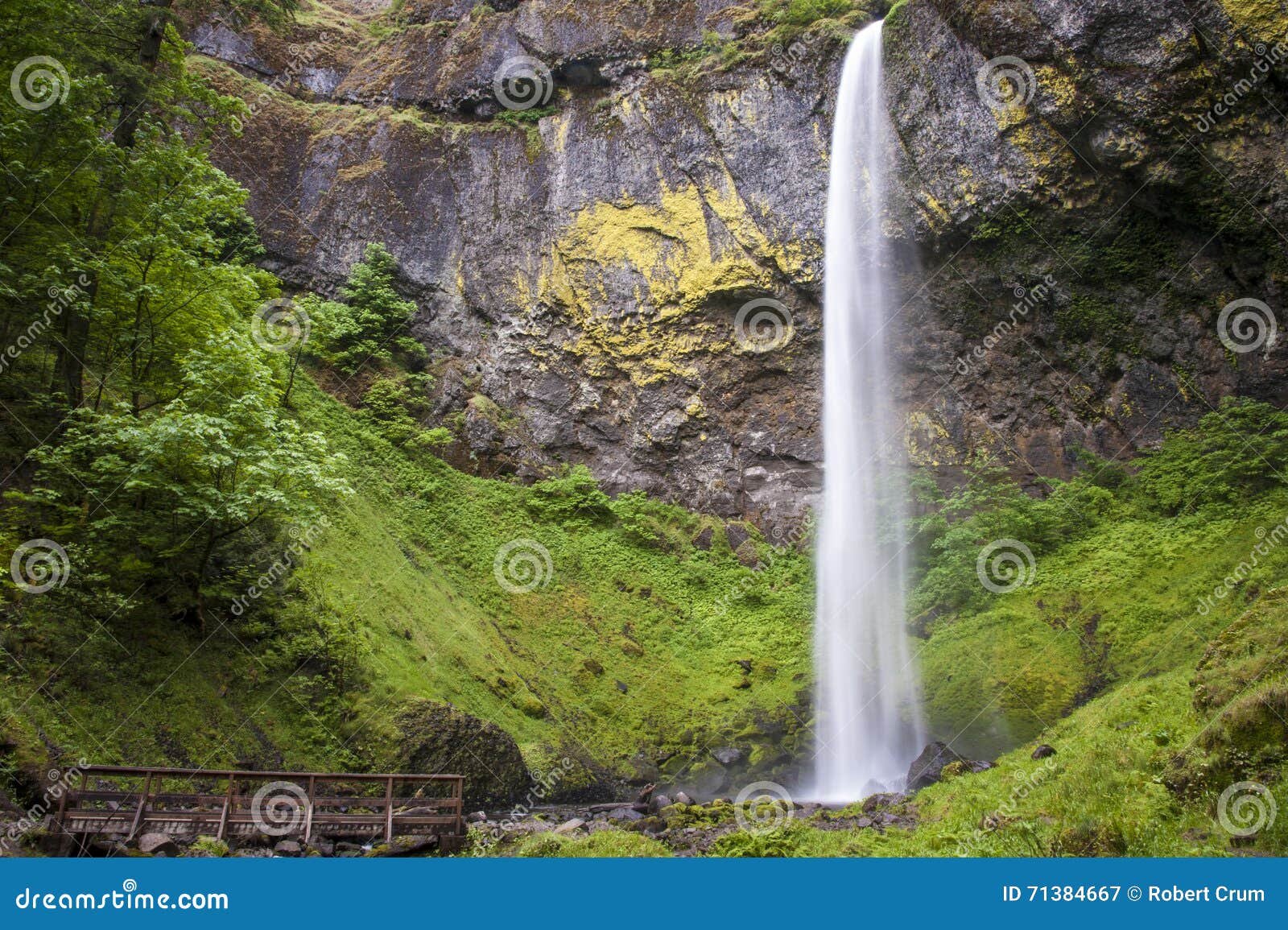 Elowah Falls, Columbia Gorge, Oregon Stock Image - Image of cascades ...