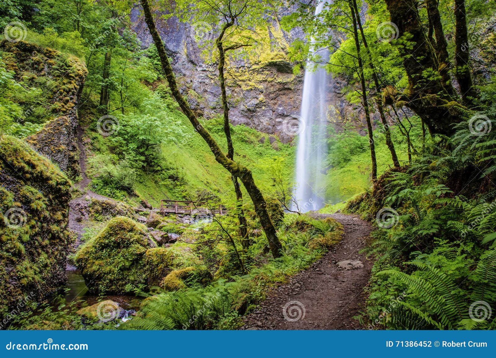 Elowah Falls, Columbia Gorge, Oregon Stock Photo - Image of outdoors ...