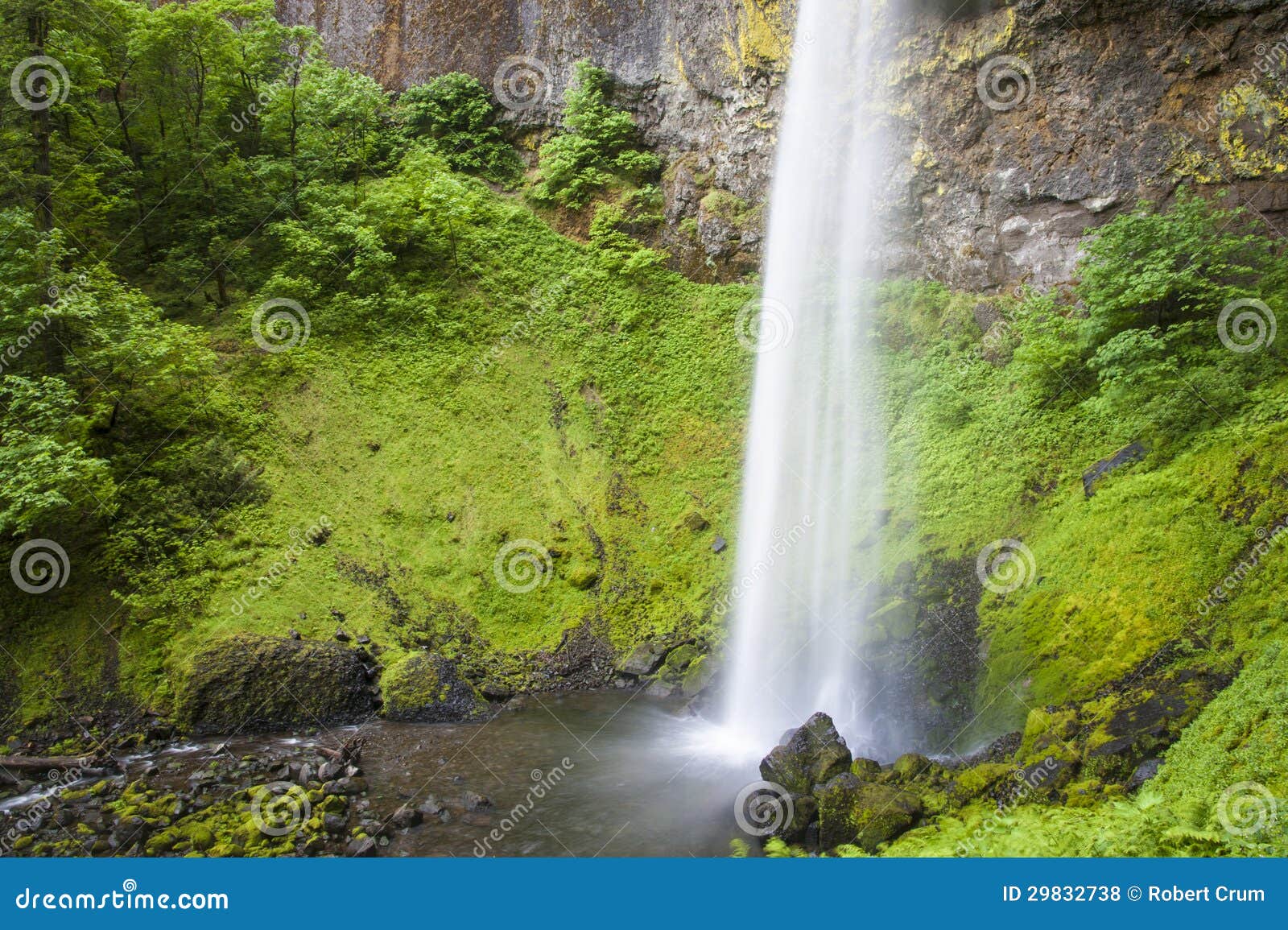 Elowah Falls, Columbia Gorge, Oregon Stock Photo - Image of columbia ...