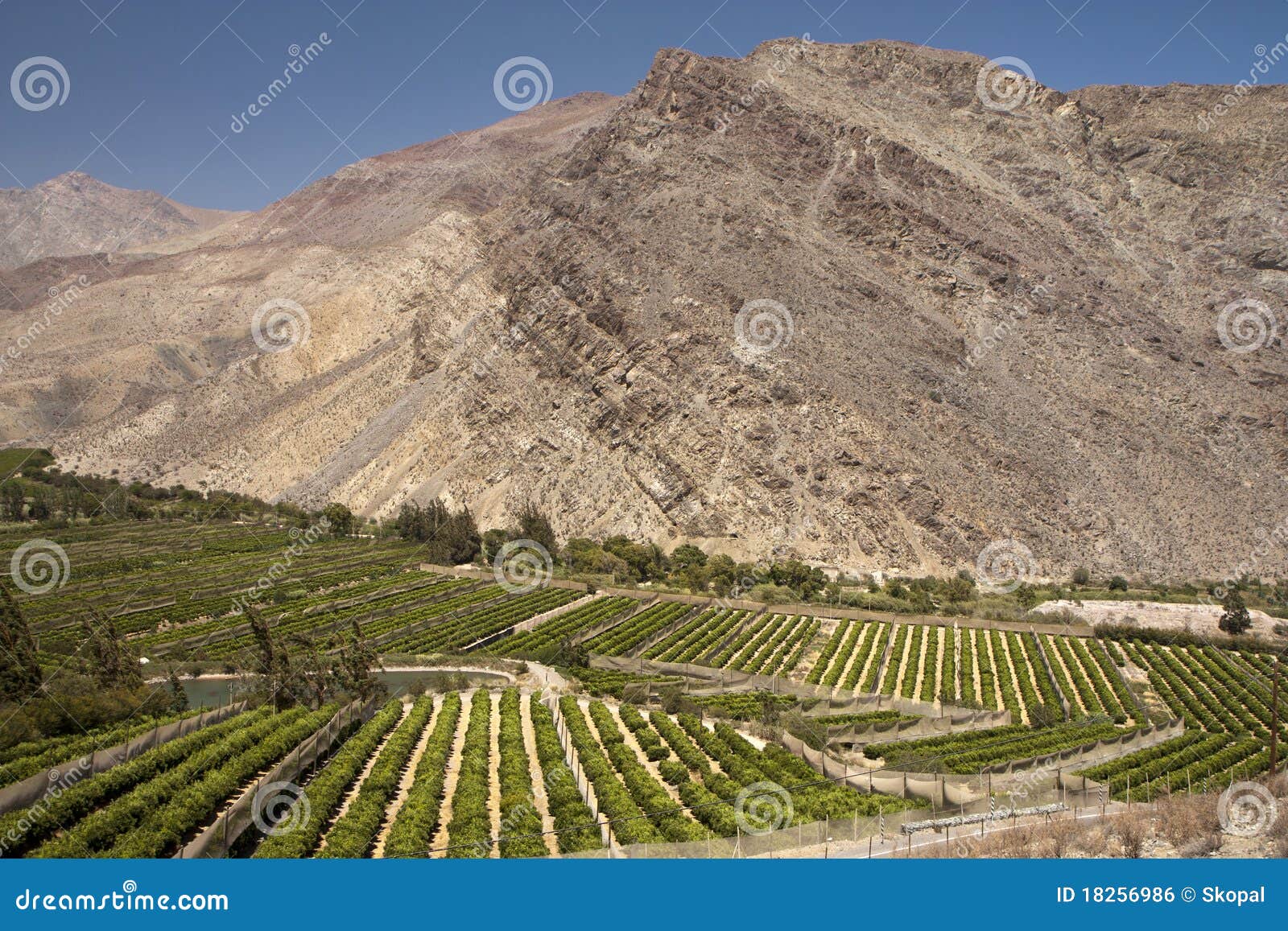 Elqui valley stock photo. Image of mountains, vineyard - 18256986