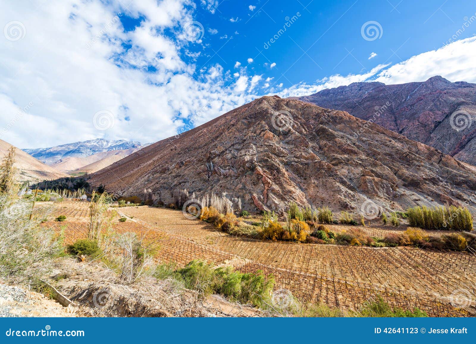 Elqui Valley View stock image. Image of agriculture, vineyard - 42641123