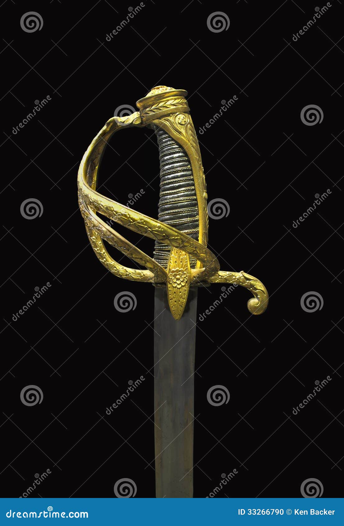 Elsa Operata Della Spada Dell'oro Isolata. Fotografia Stock - Immagine ...