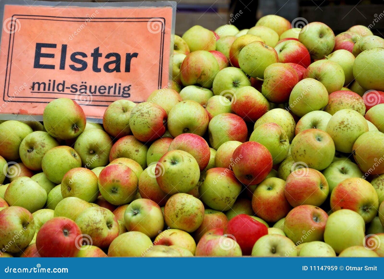 Elstar appel stock image. Image of green, healthy, organic - 11147959
