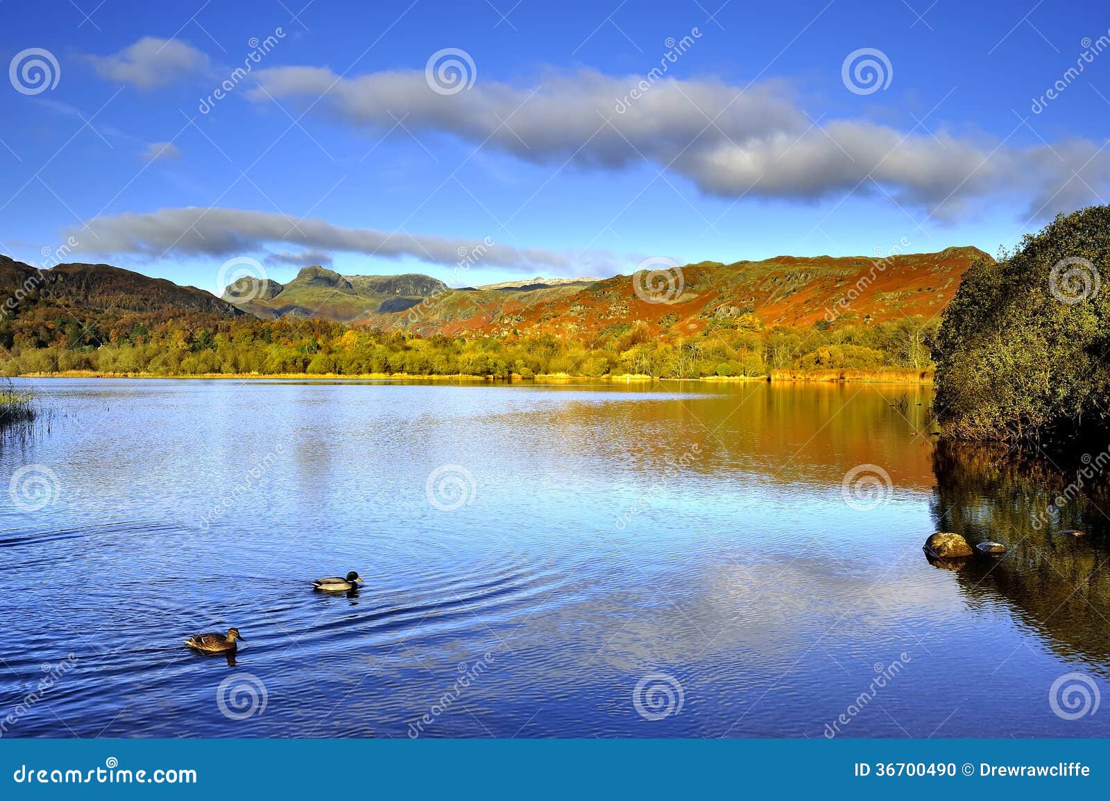 Elterwater stock photo. Image of england, reflections - 36700490