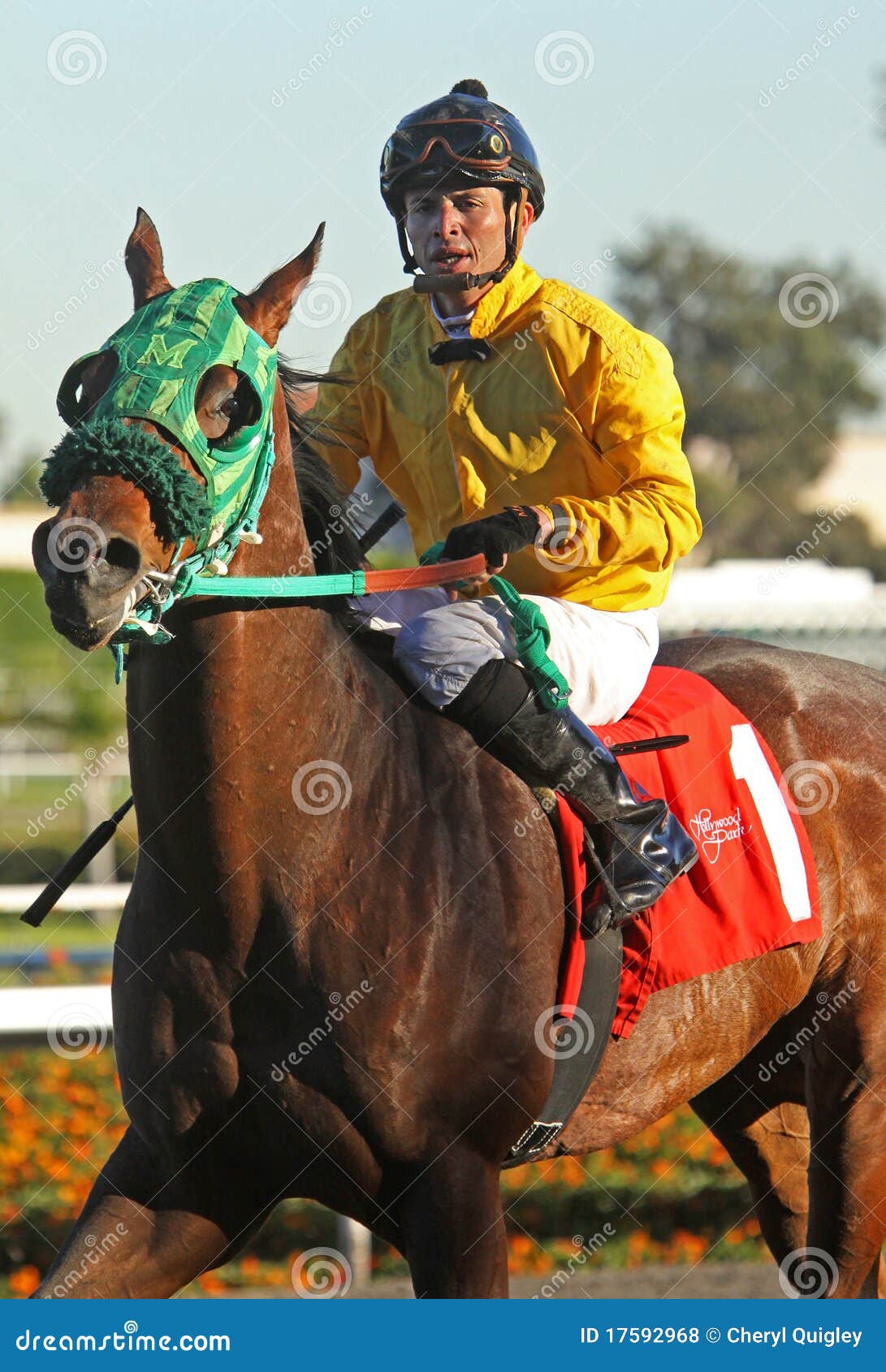 Elusive Moment Wins a Claiming Race Editorial Stock Photo - Image of ...