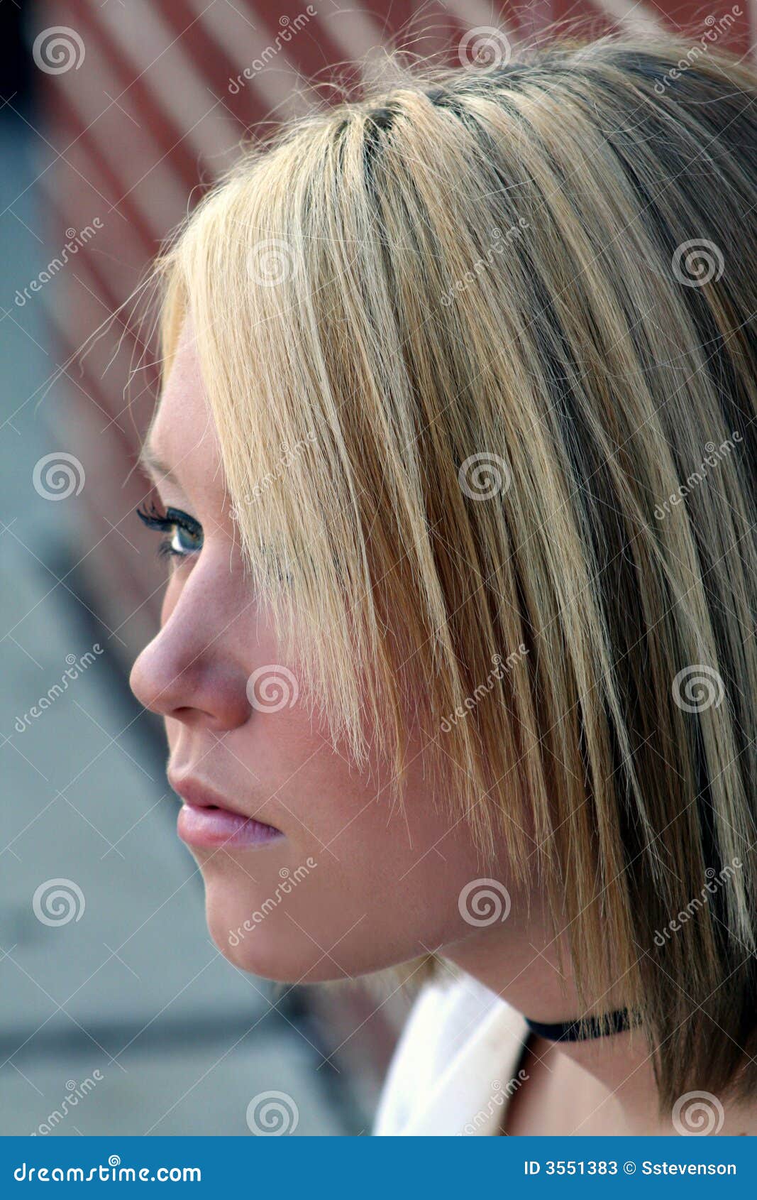 Elusive Profile stock image. Image of depression, contemplate - 3551383