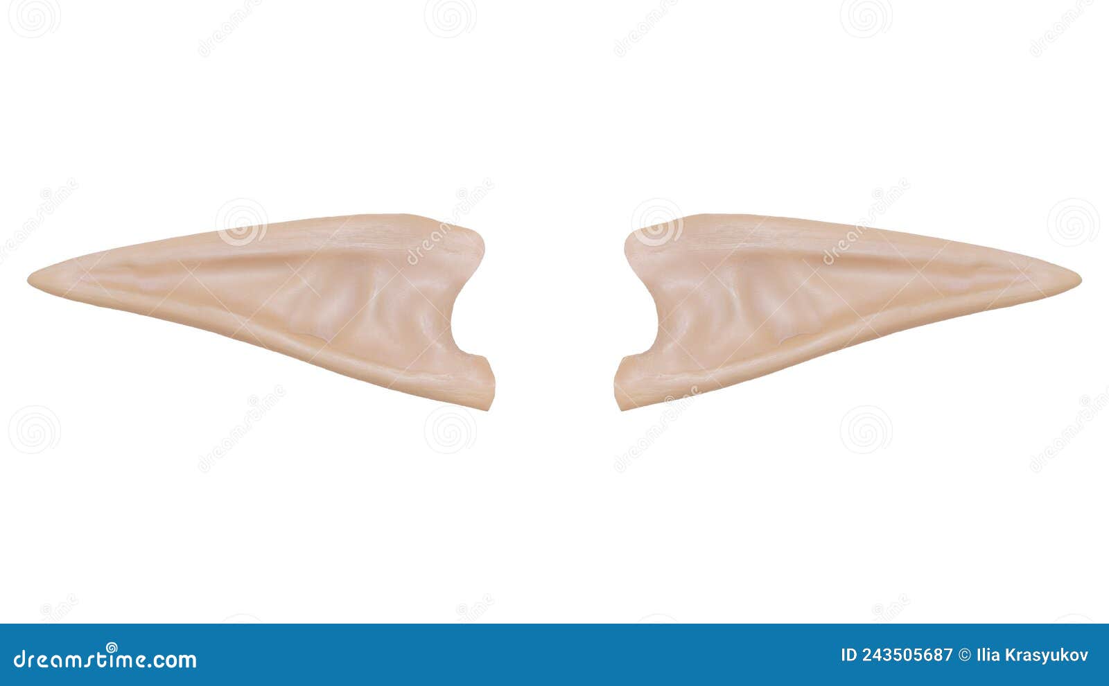 Elven Ears on a White Background. Elf Ears Isolated. Stock Image ...