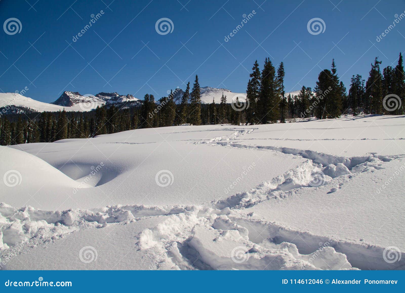 Ely on the Background of an Excellent Mountain Landscape. Stock Photo ...