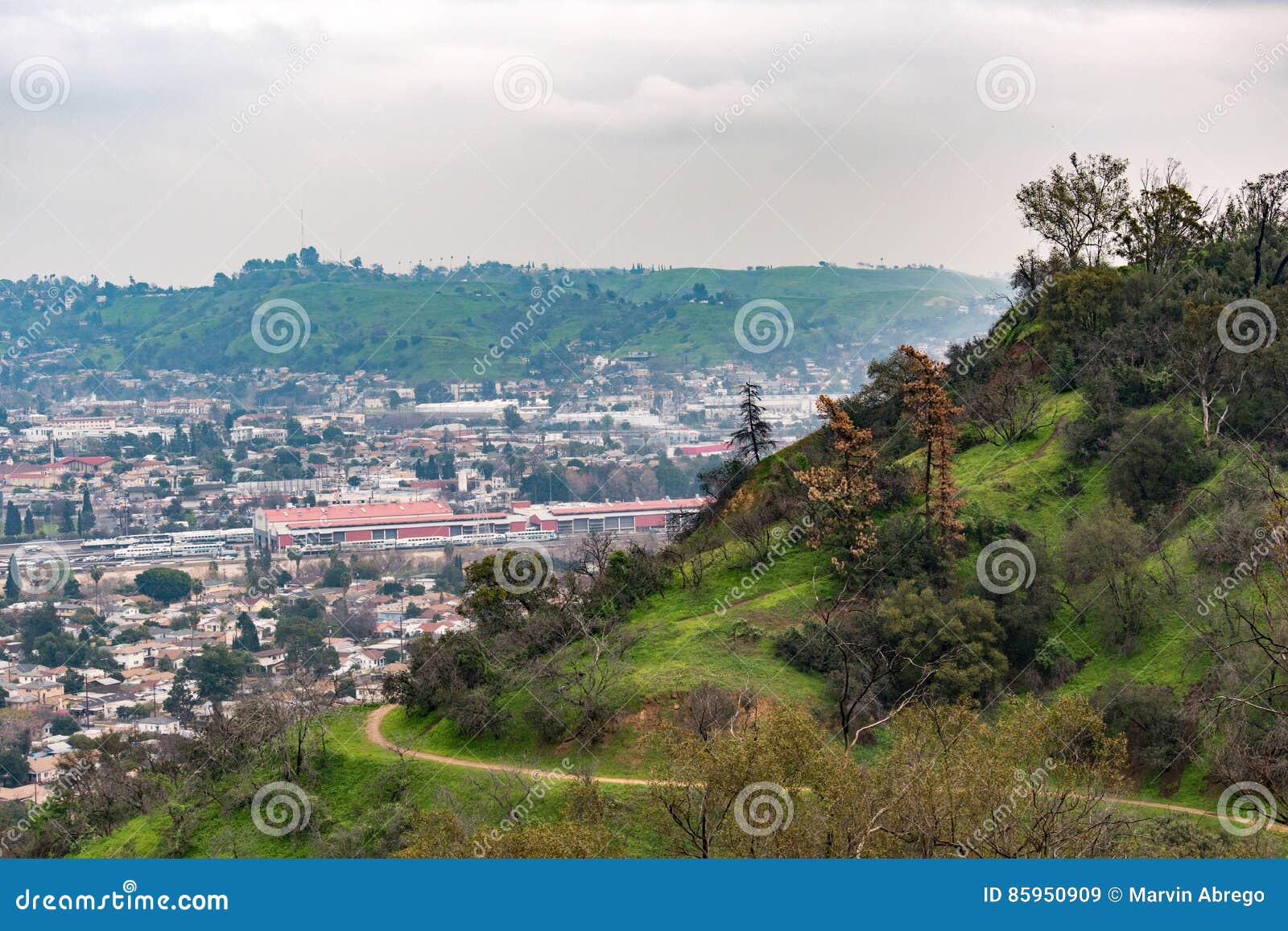Elysian Park Trail stock image. Image of trail, park - 85950909