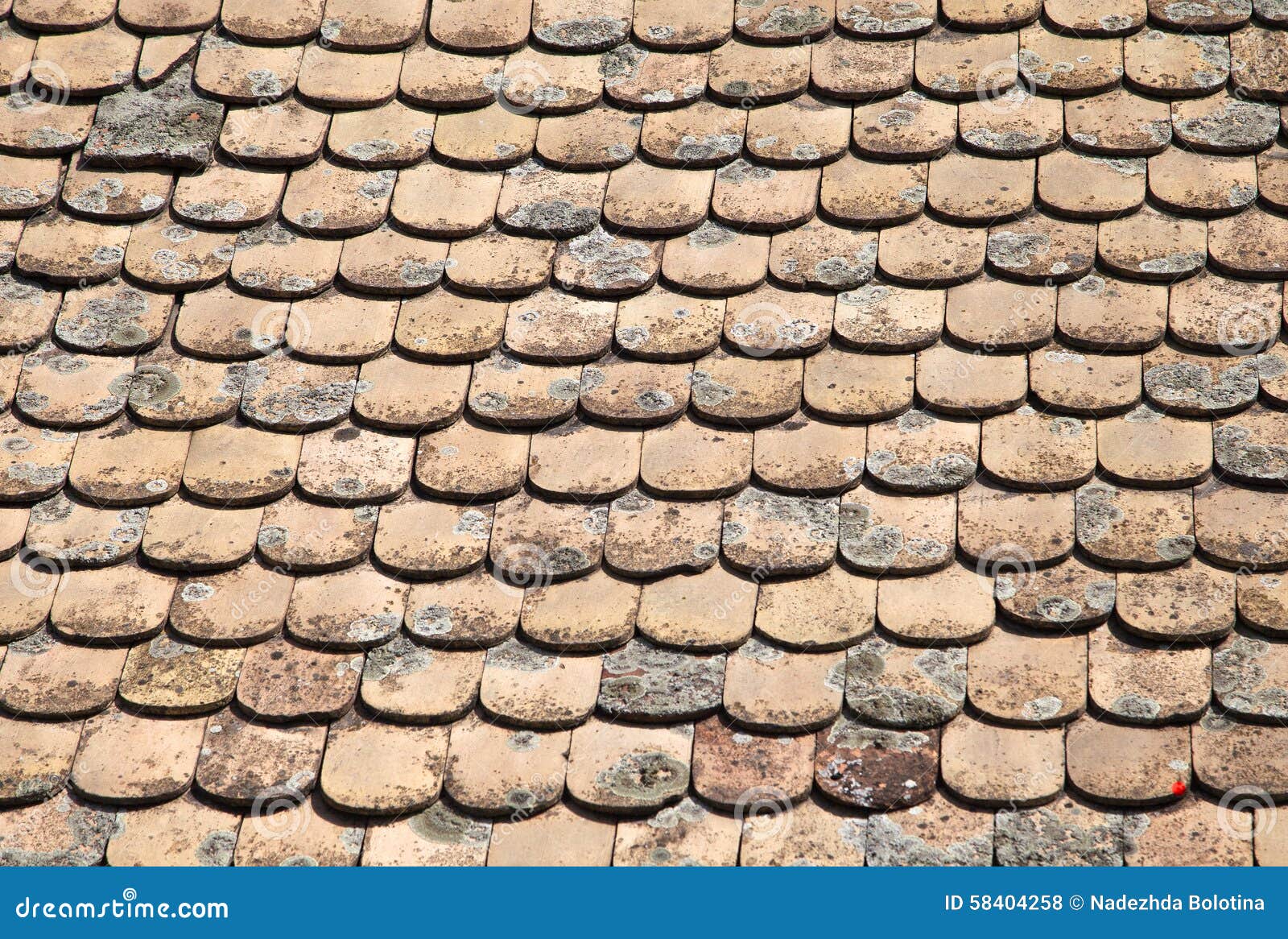 Embaldosado rojo foto de archivo. Imagen de anaranjado - 58404258