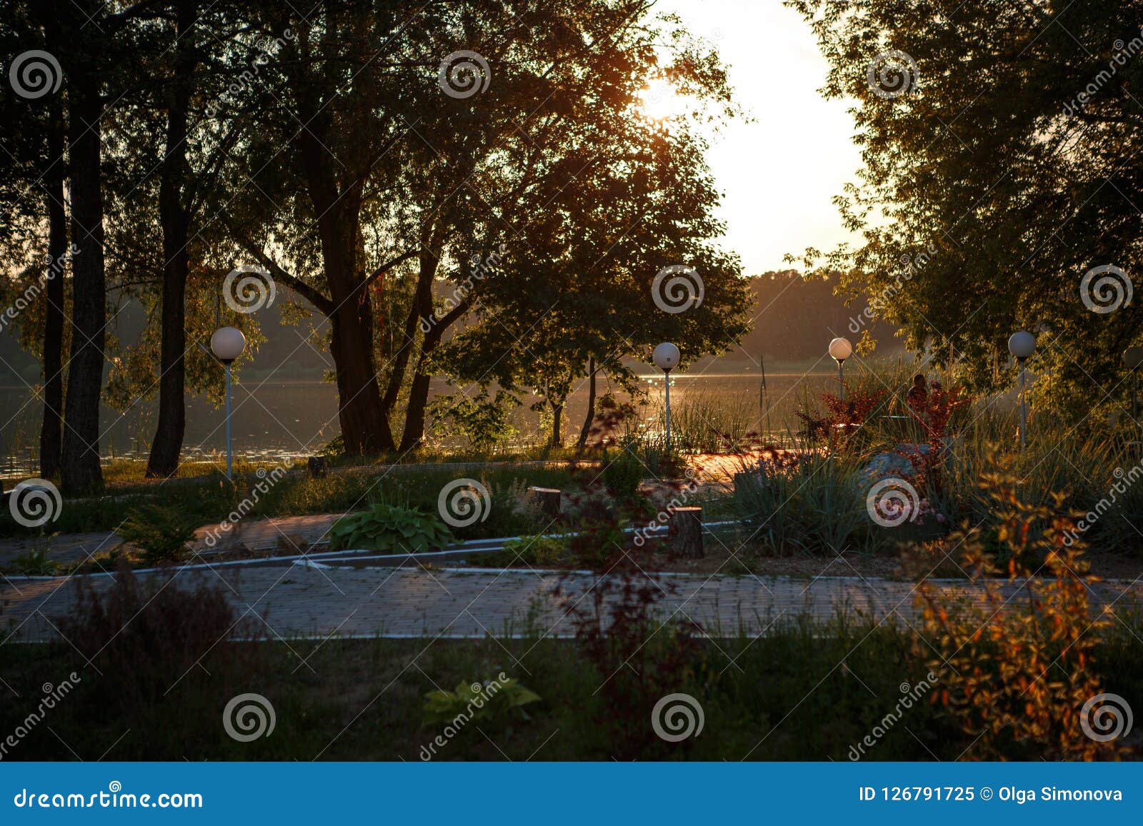 The Embankment of the Park at Sunset in the Orange Rays of the Sun ...