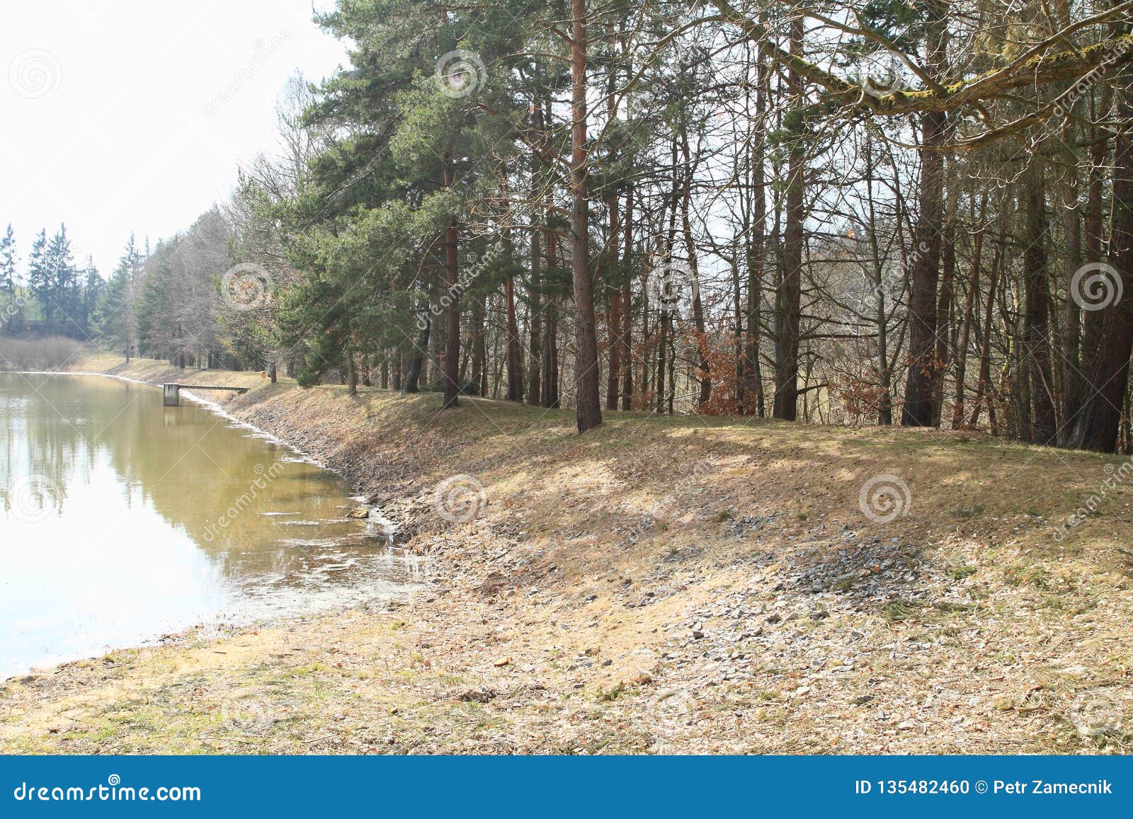 Embankment of pond stock photo. Image of pond, czech - 135482460