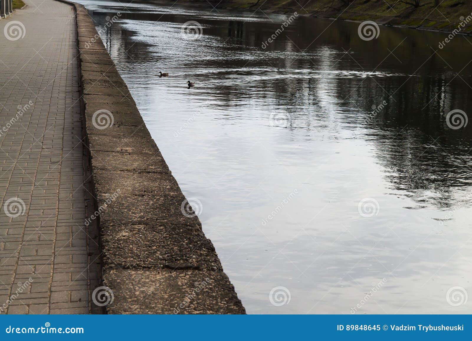 Embankment of the River in the Park Stock Image - Image of water, flow ...
