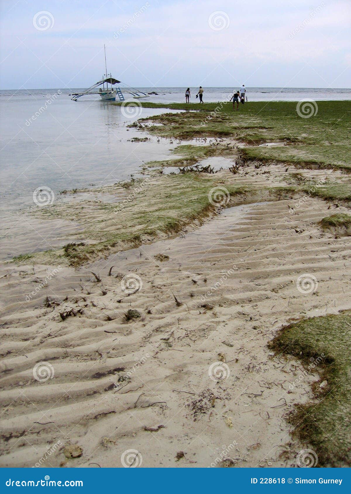 Embark Picture. Image: 228618