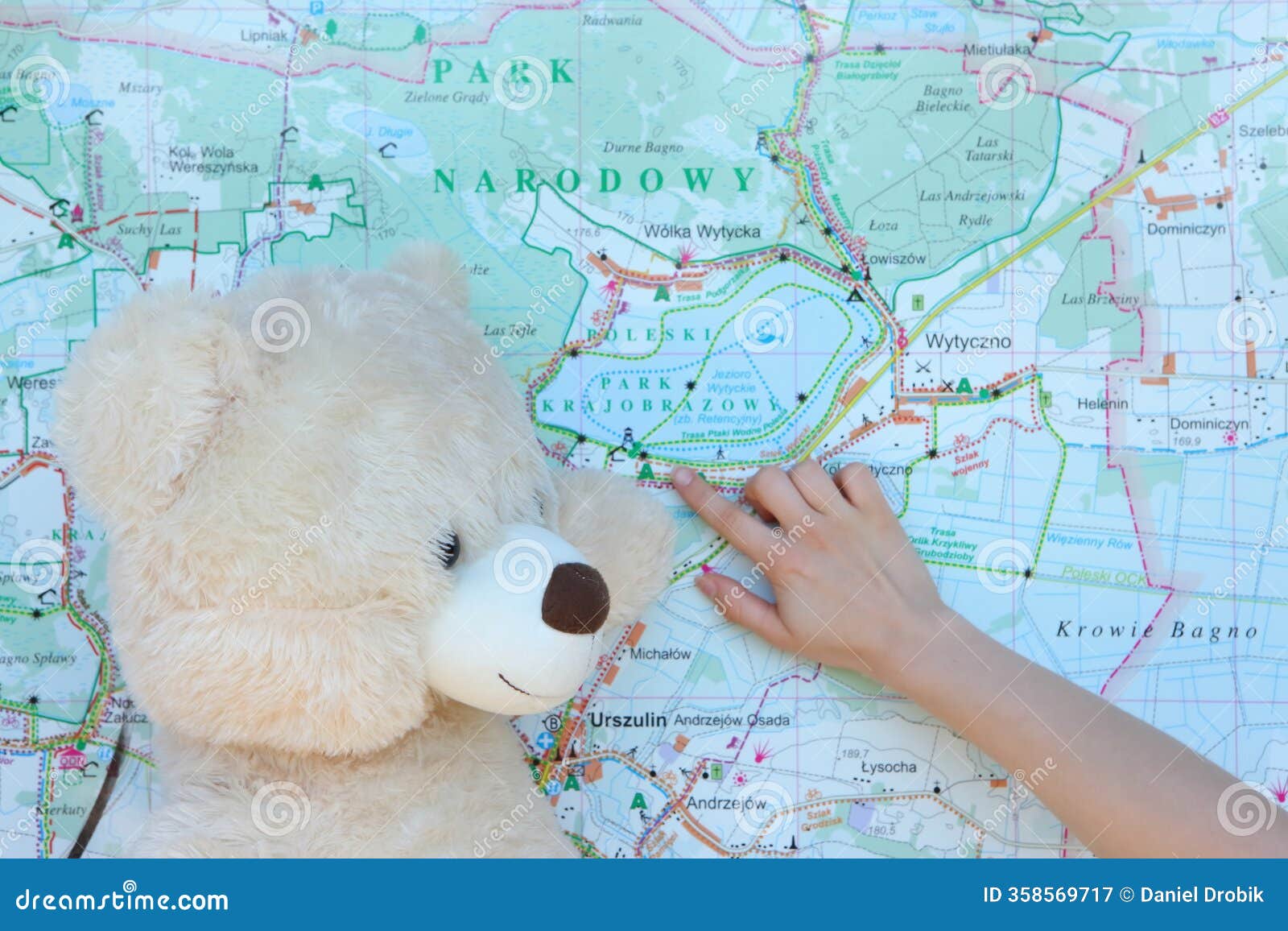 Embarking on an Exciting Journey through Nature with a Teddy Bear and a ...