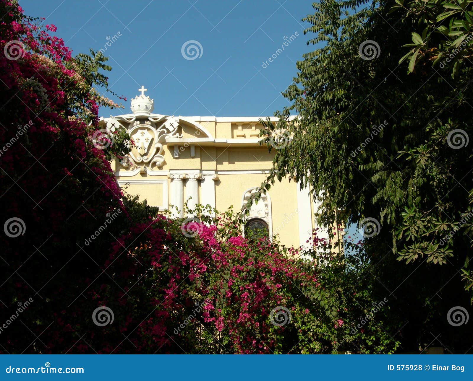 Embassy stock photo. Image of tree, delhi, diplomatix, building - 575928