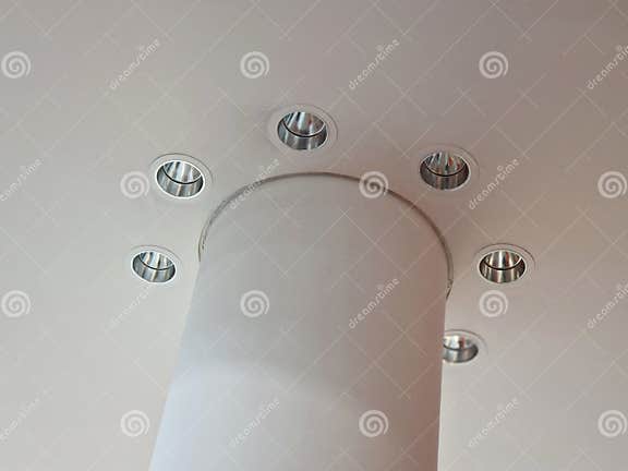 Attractive, Dark Green Leaves, Boasts Many Favorable Traits for Offices ...