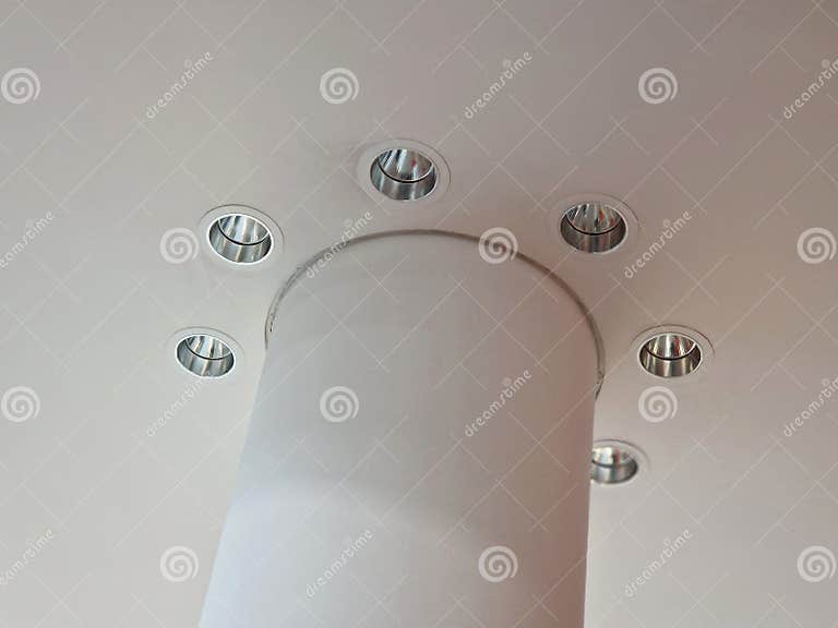 Attractive, Dark Green Leaves, Boasts Many Favorable Traits for Offices ...