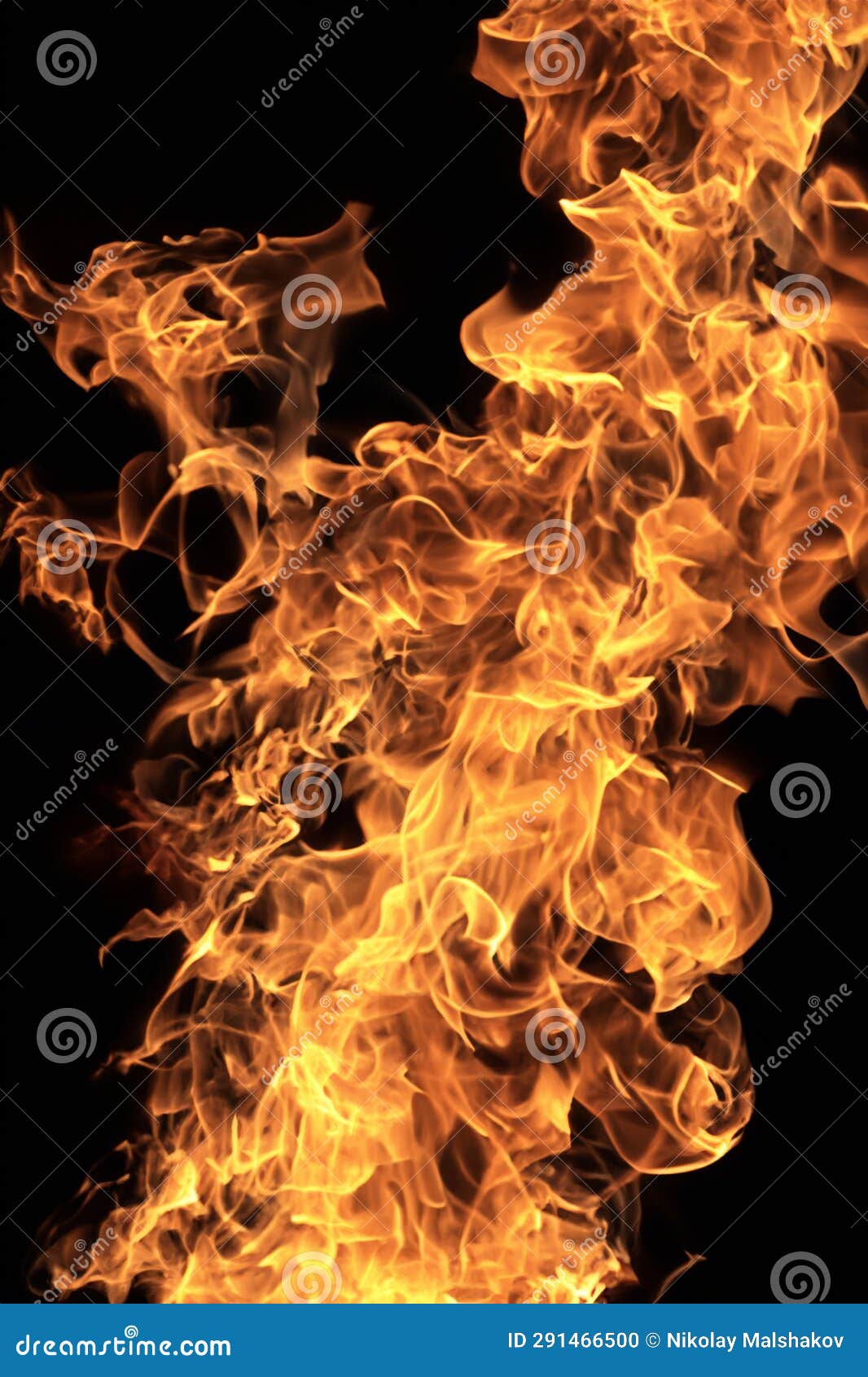 Ember Symphony: Flames on a Dark Stage Stock Photo - Image of flame ...