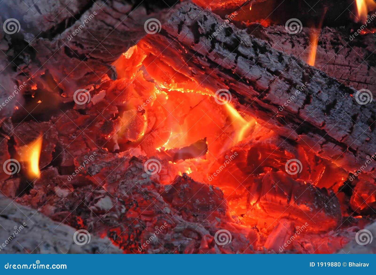 Embers stock photo. Image of passion, remains, smoulder - 1919880