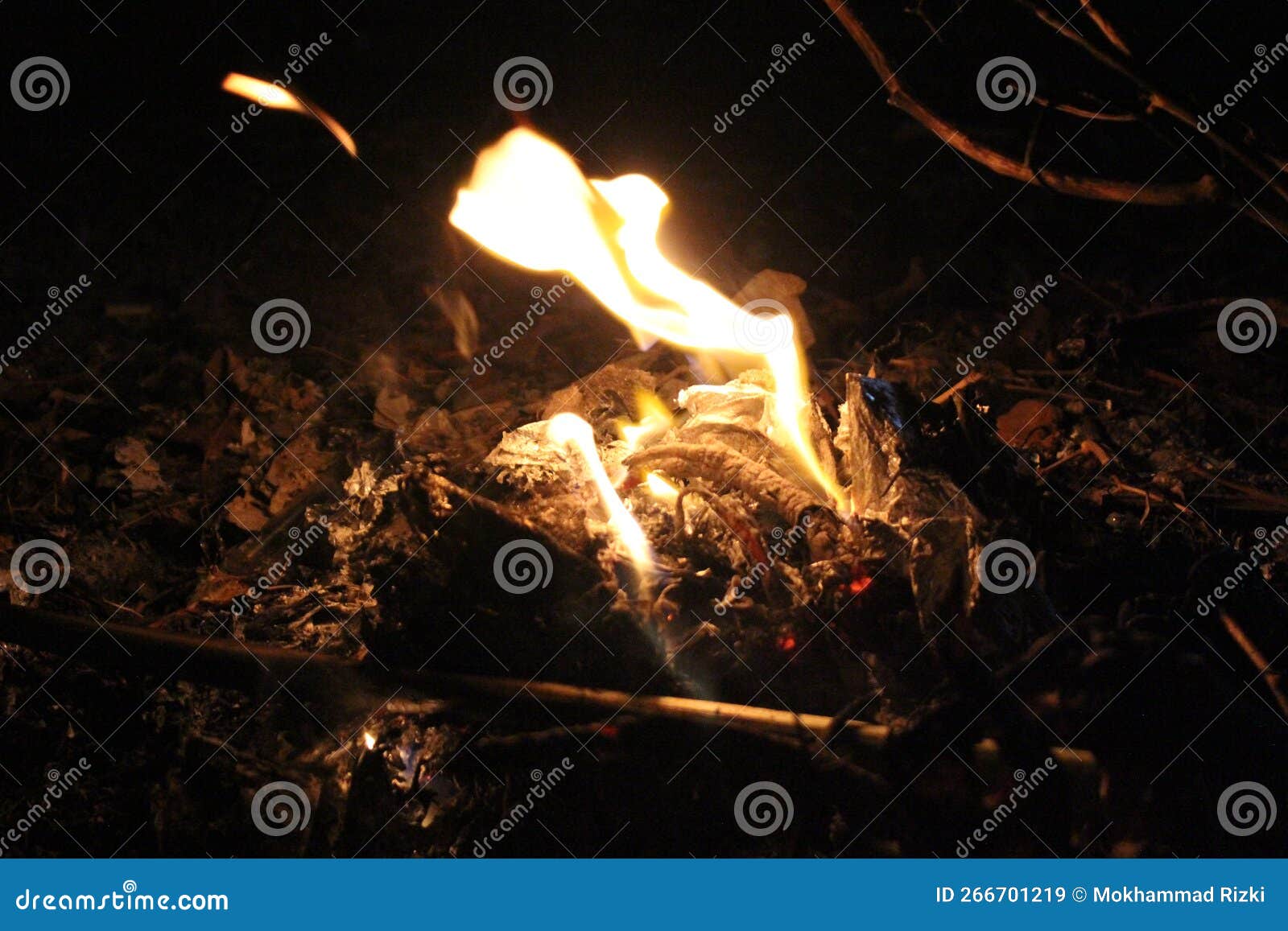 The Flames that Danced stock image. Image of flames - 266701219