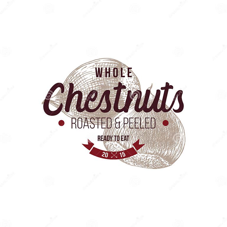 Emblem with Type Design and Hand Drawn Chestnuts Stock Vector ...