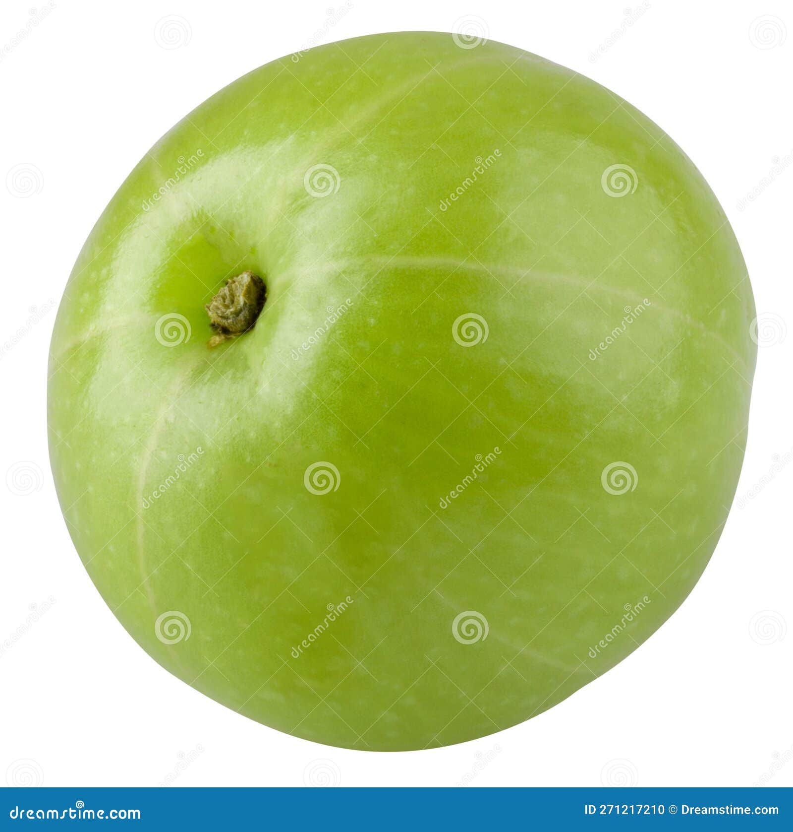 Emblic or Indian Gooseberry Isolated on a White Background Stock Photo ...