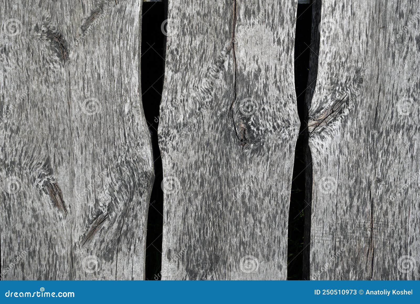 Embossed Wood Texture Outdoors. Knots and Annual Layers. Su Rface ...