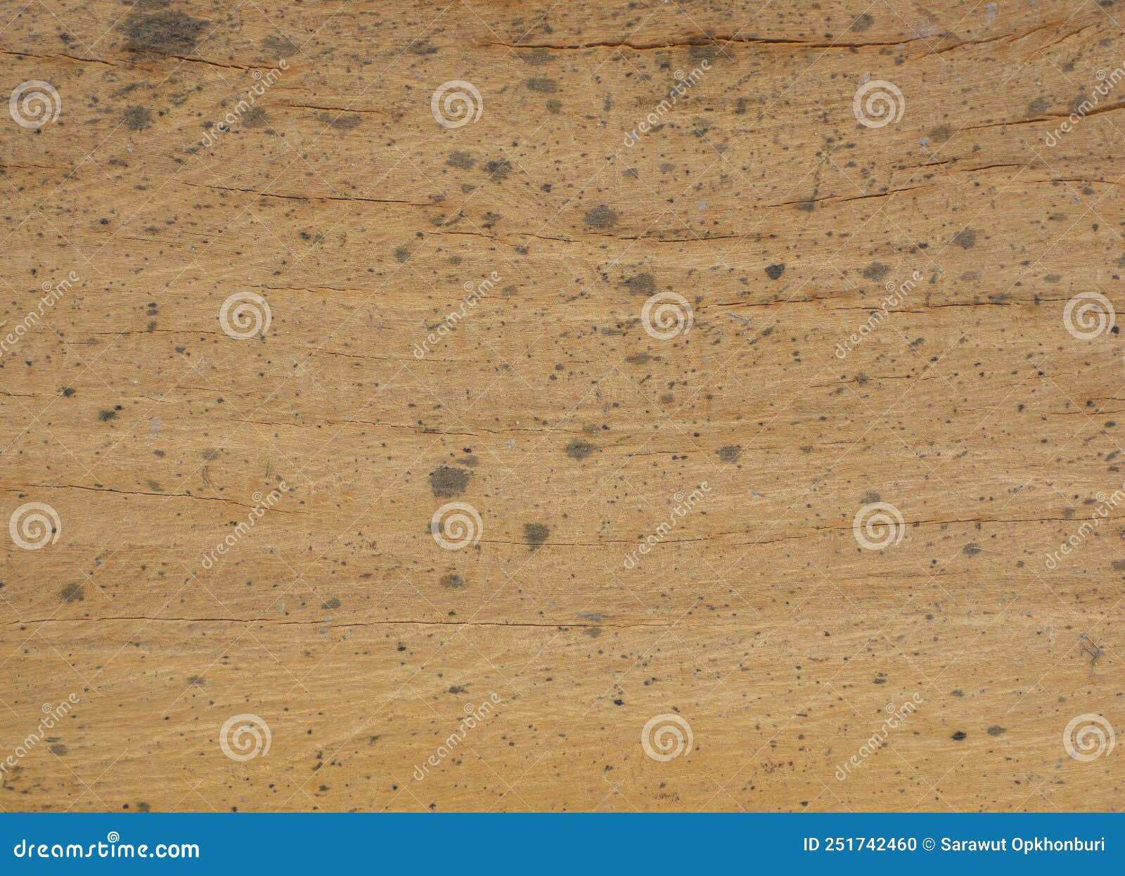 Embossing of Wood Texture on Transparent Background Stock Photo - Image ...