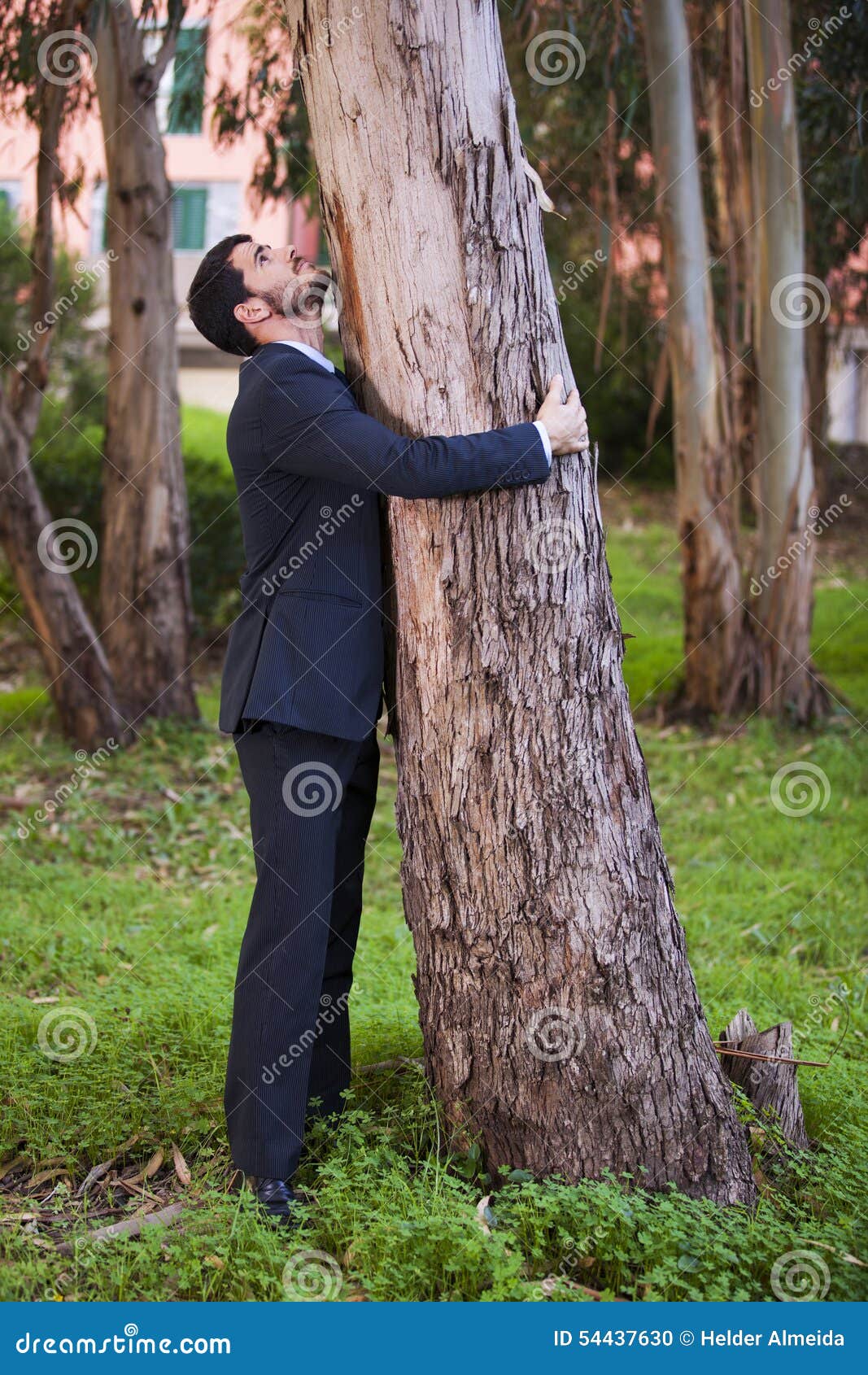 Embrace a tree trunk stock photo. Image of hugging, care - 54437630