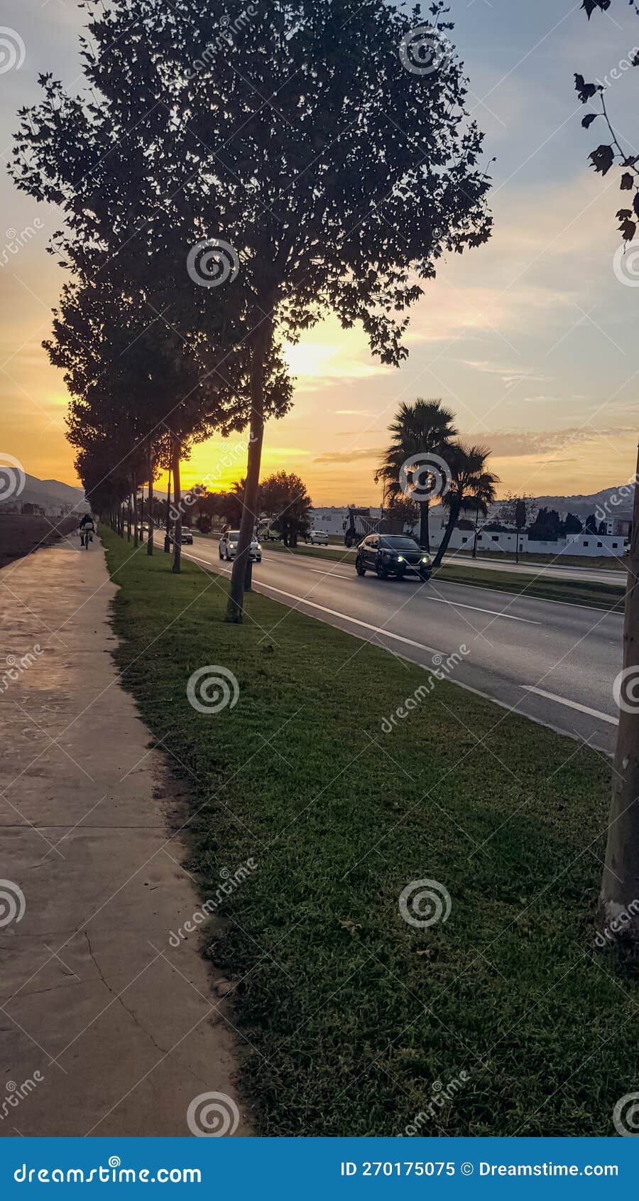 Embracing the Magic of Nature Experiencing the Enchanting Sunset on a ...