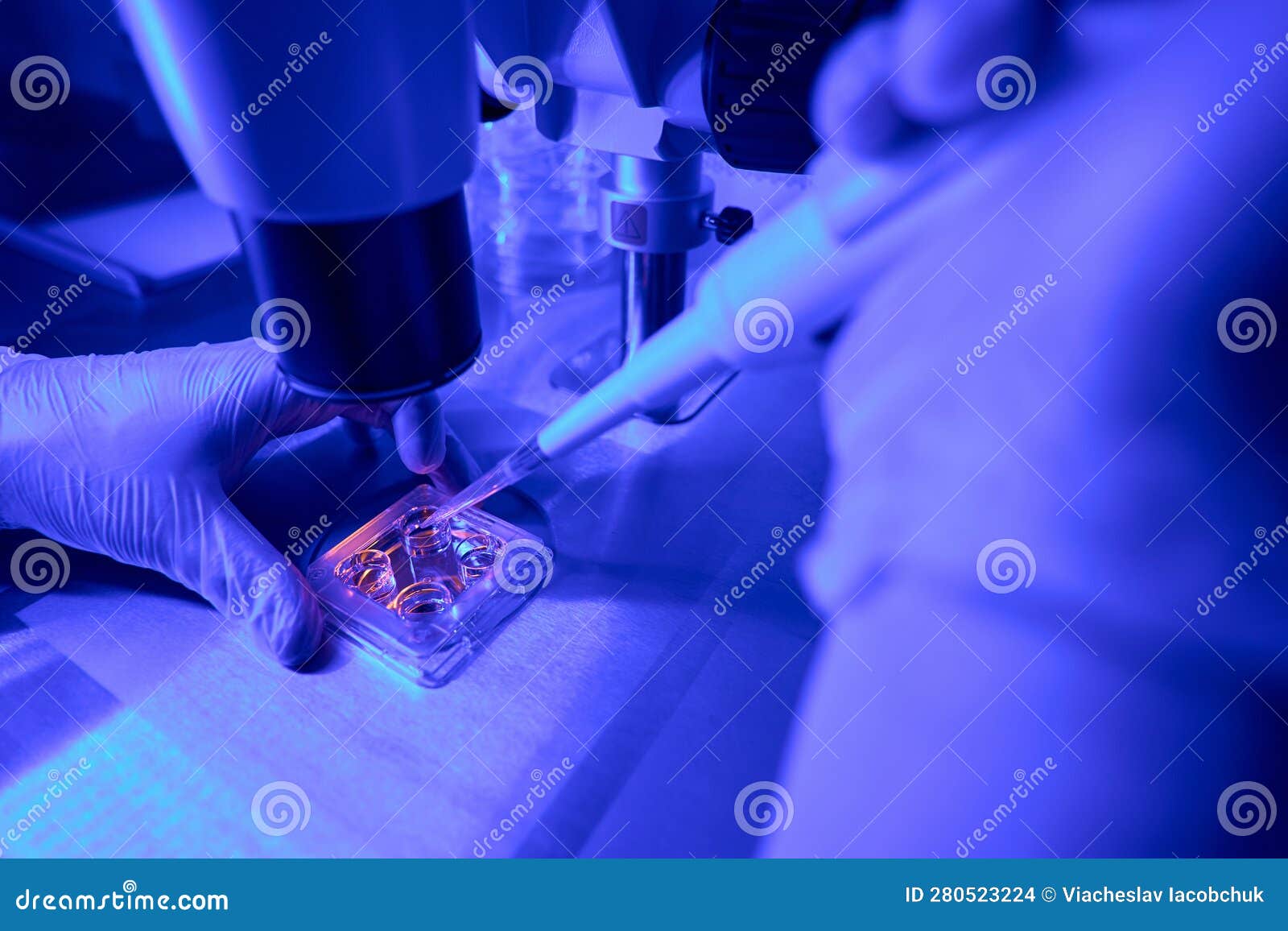 Embriologist Putting Sperm Sample To Examine Under Microscope Stock ...