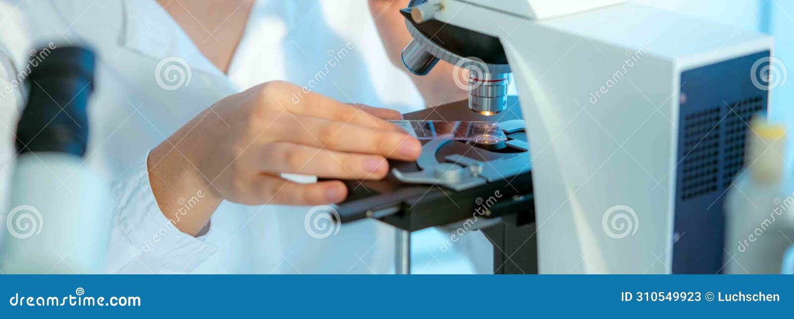 Embryo Development Examination: Microscopes Enable Studying the Proces ...