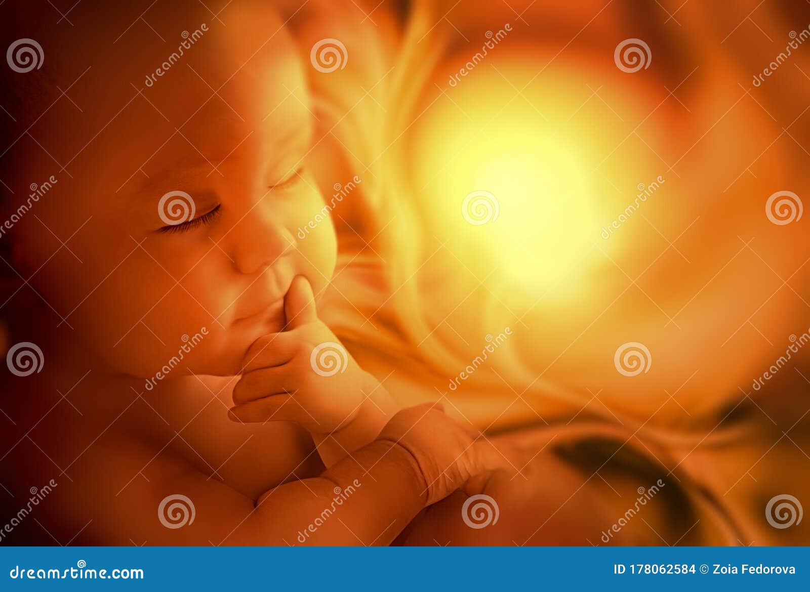 Embryo inside mother stock photo. Image of motherhood - 178062584