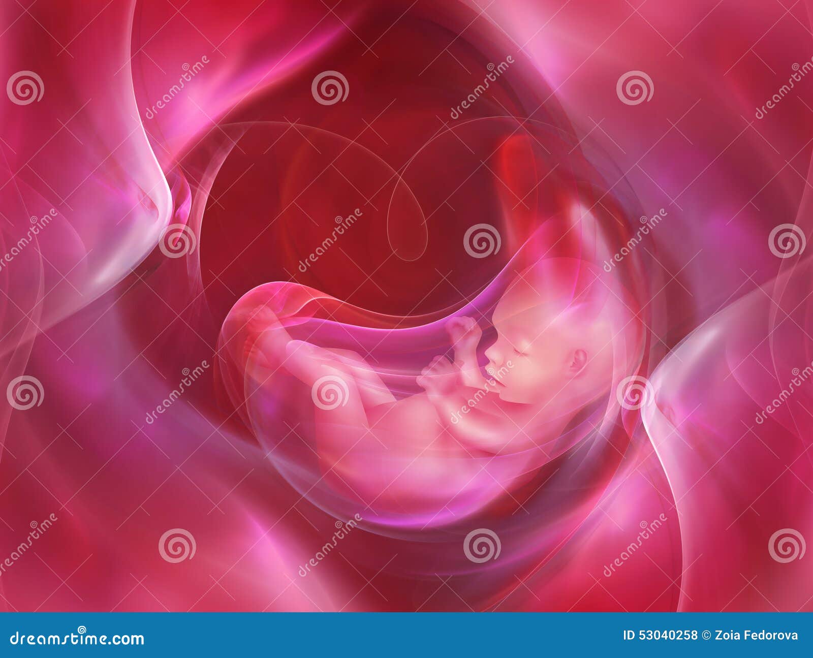 Embryo stock illustration. Illustration of pregnancy - 53040258