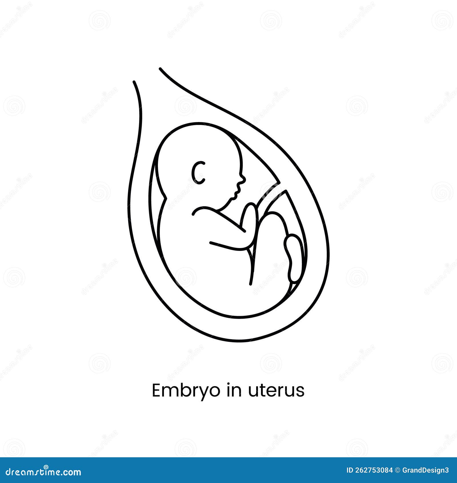 Embryo in Uterus Line Icon in Vector, Baby Illustration. Stock Vector ...