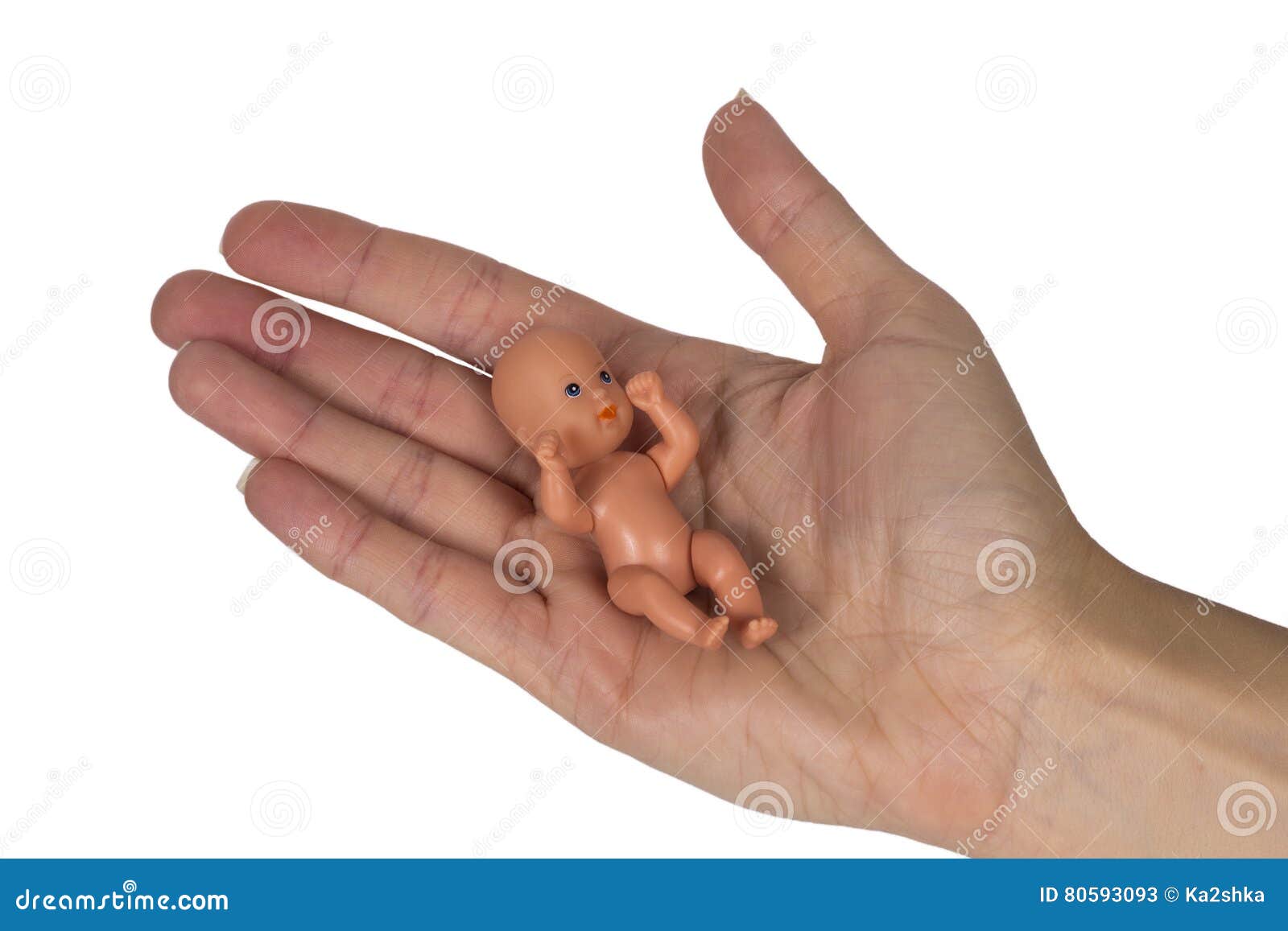 Embryo in Woman Hand Isolated on White Stock Image - Image of life ...