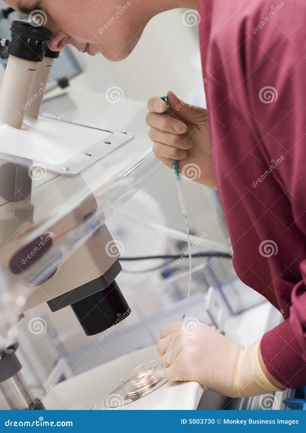 Embryologist Adding Sperm To Egg Stock Photo - Image of microscope ...