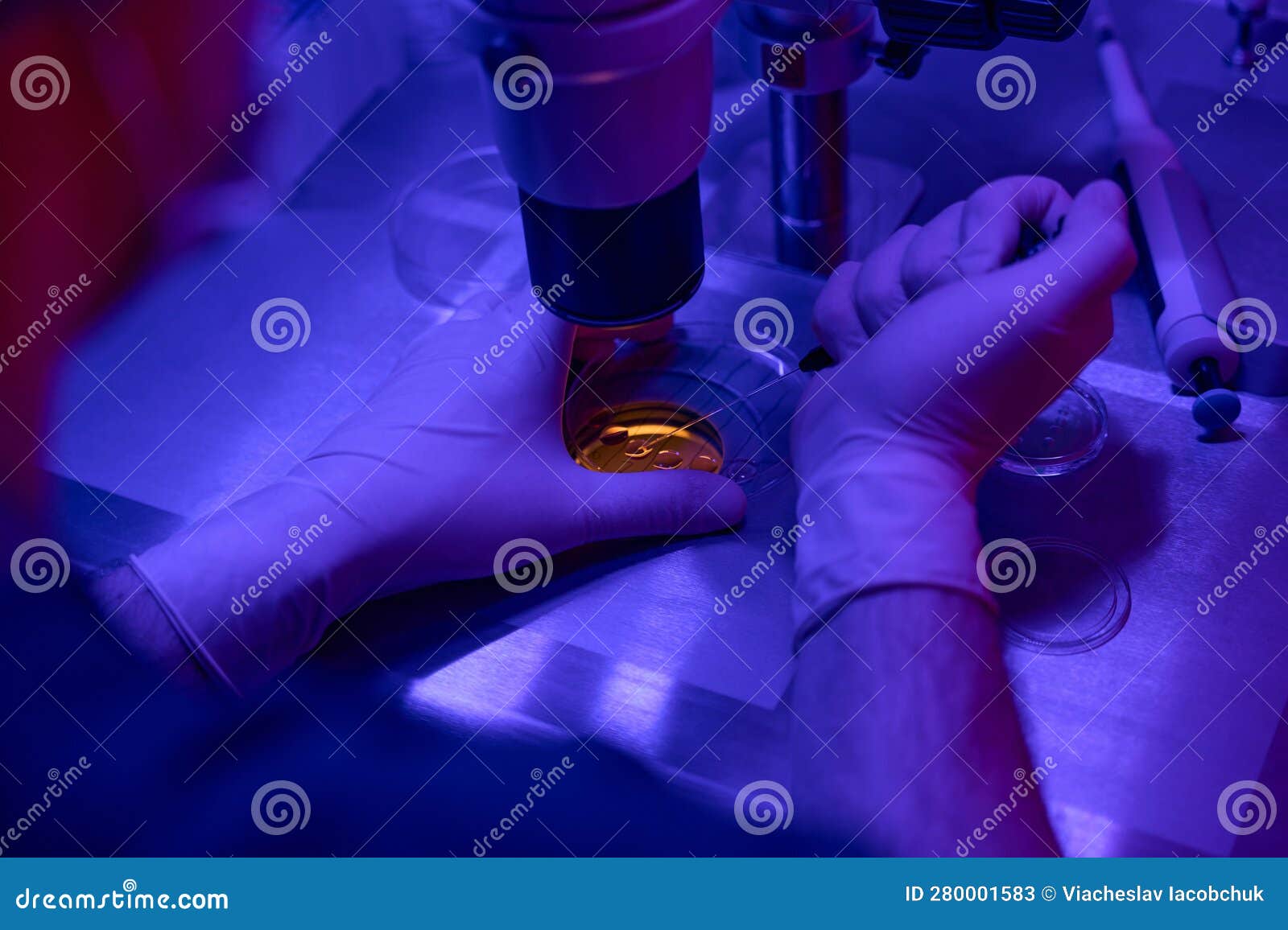 Embryologist Checking State of Embryos in Petri Dish Stock Image ...