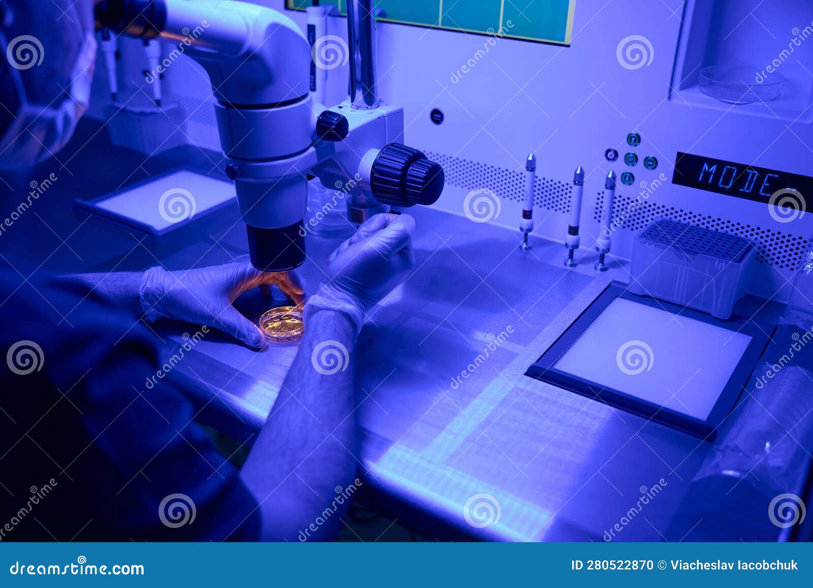 Embryologist Conducting Preimplantation Genetic Diagnostics of Embryos ...