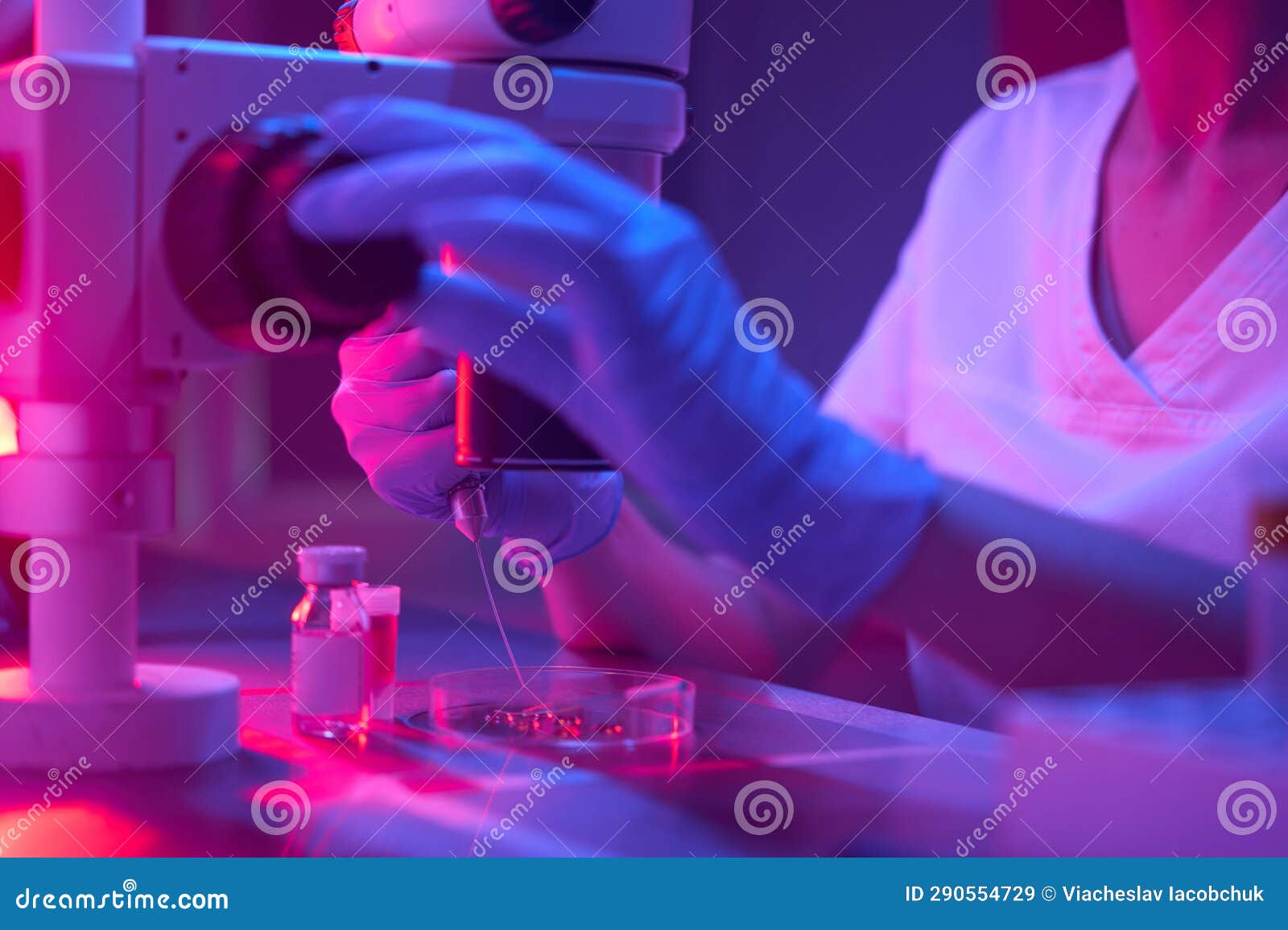 Embryologist in a Cryolab Performs an ICSI Procedure Stock Image ...