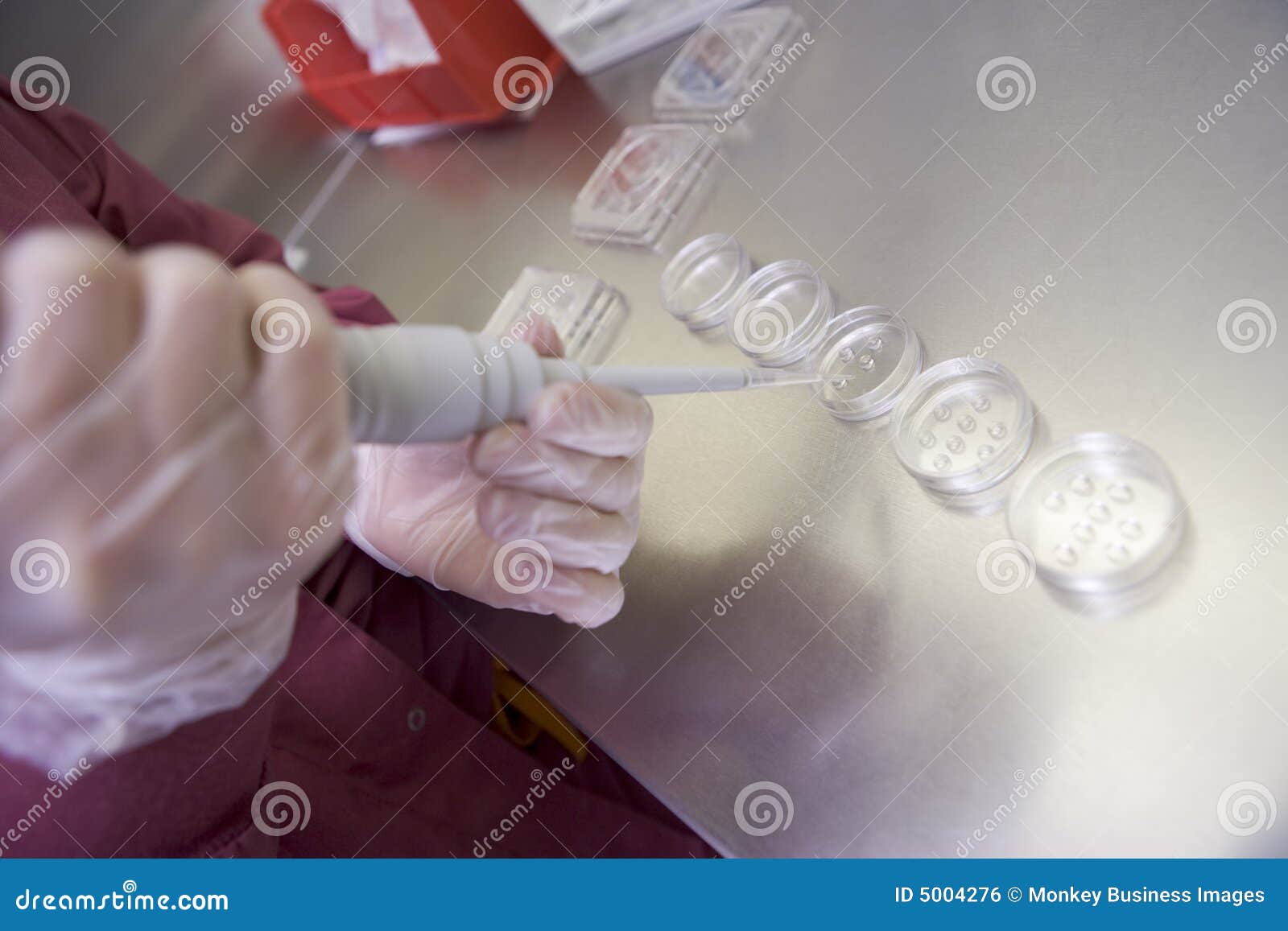 Embryologist Preparing Cultures Stock Photo - Image of laboratory ...