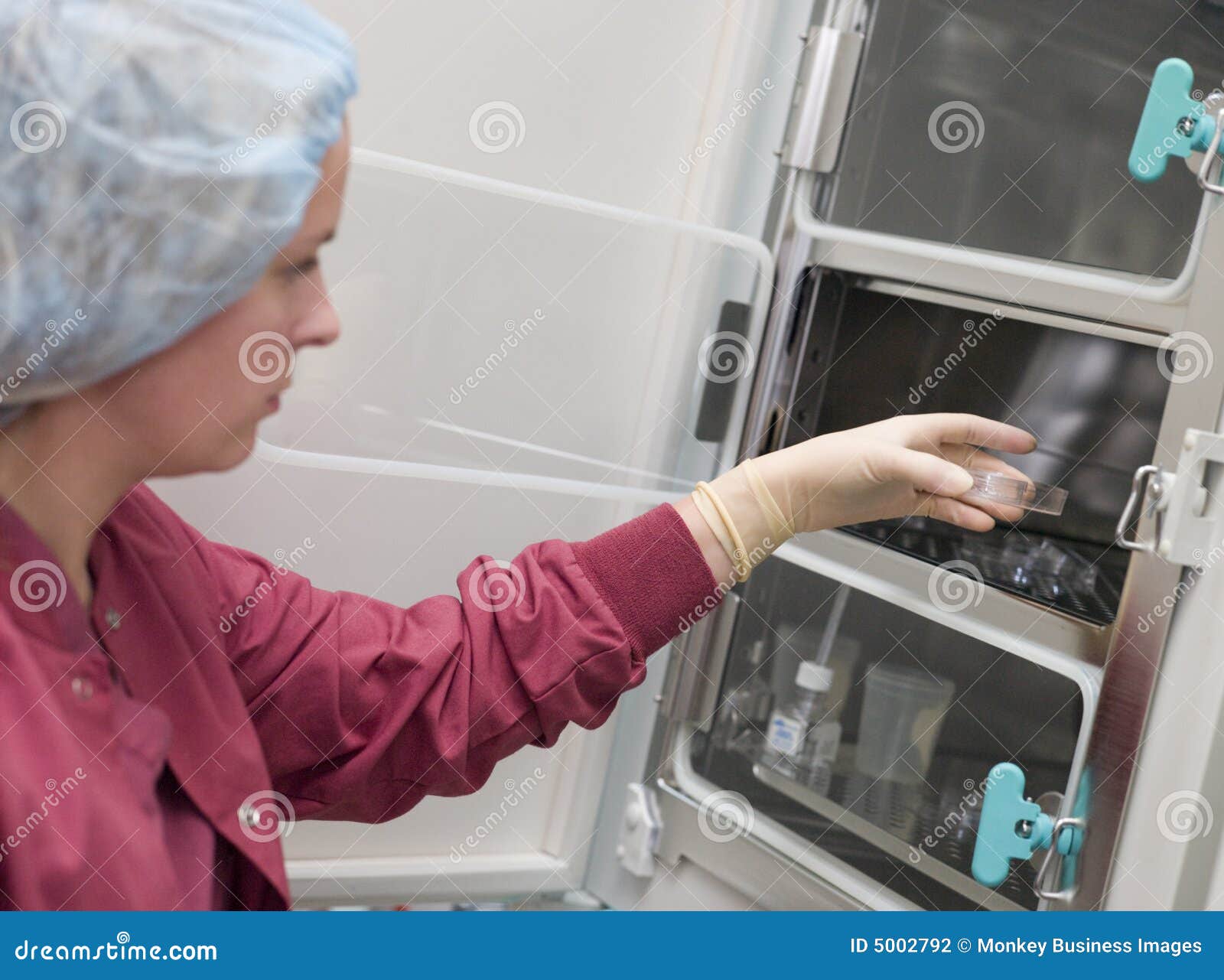 Embryologist Putting Sample into Incubator Stock Photo - Image of ...