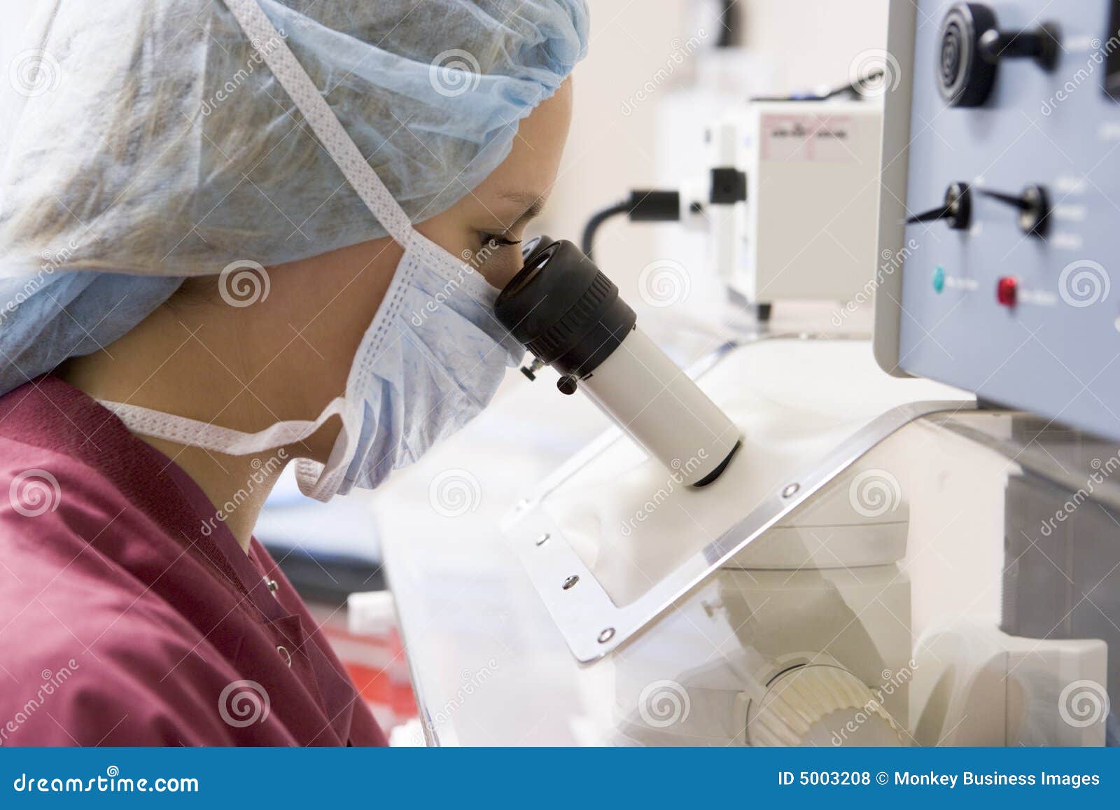 Embryologist Using Microscope Stock Photo - Image of microscope, doctor ...