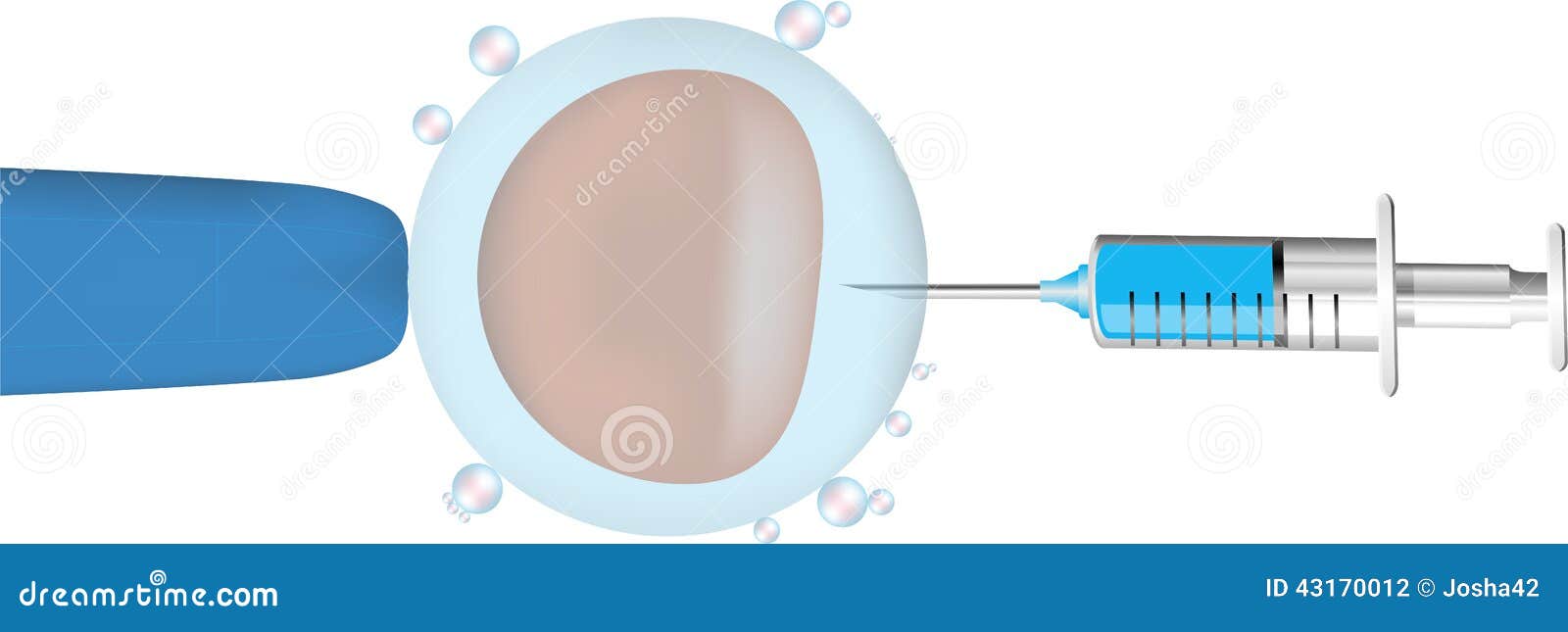 Embryology Cartoons, Illustrations & Vector Stock Images - 1815 ...