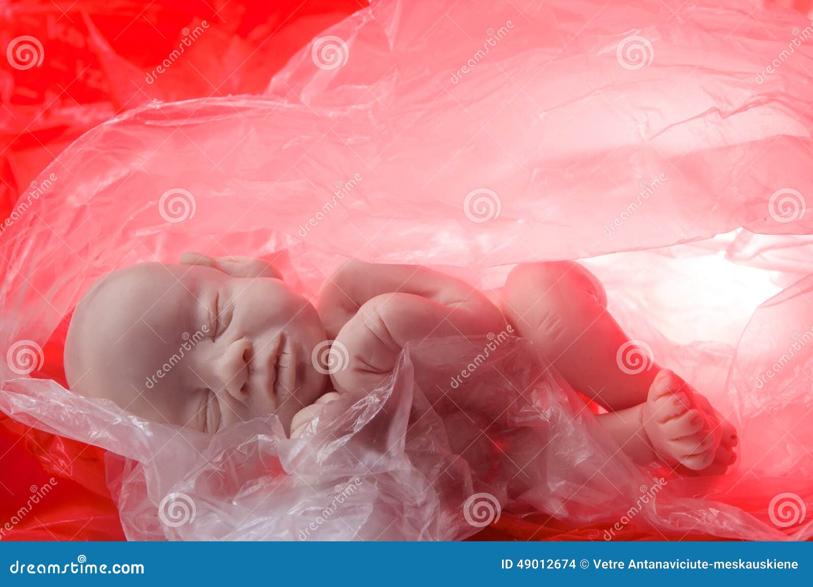 Embryon De Concept, Avortement Photo stock - Image du naissance ...