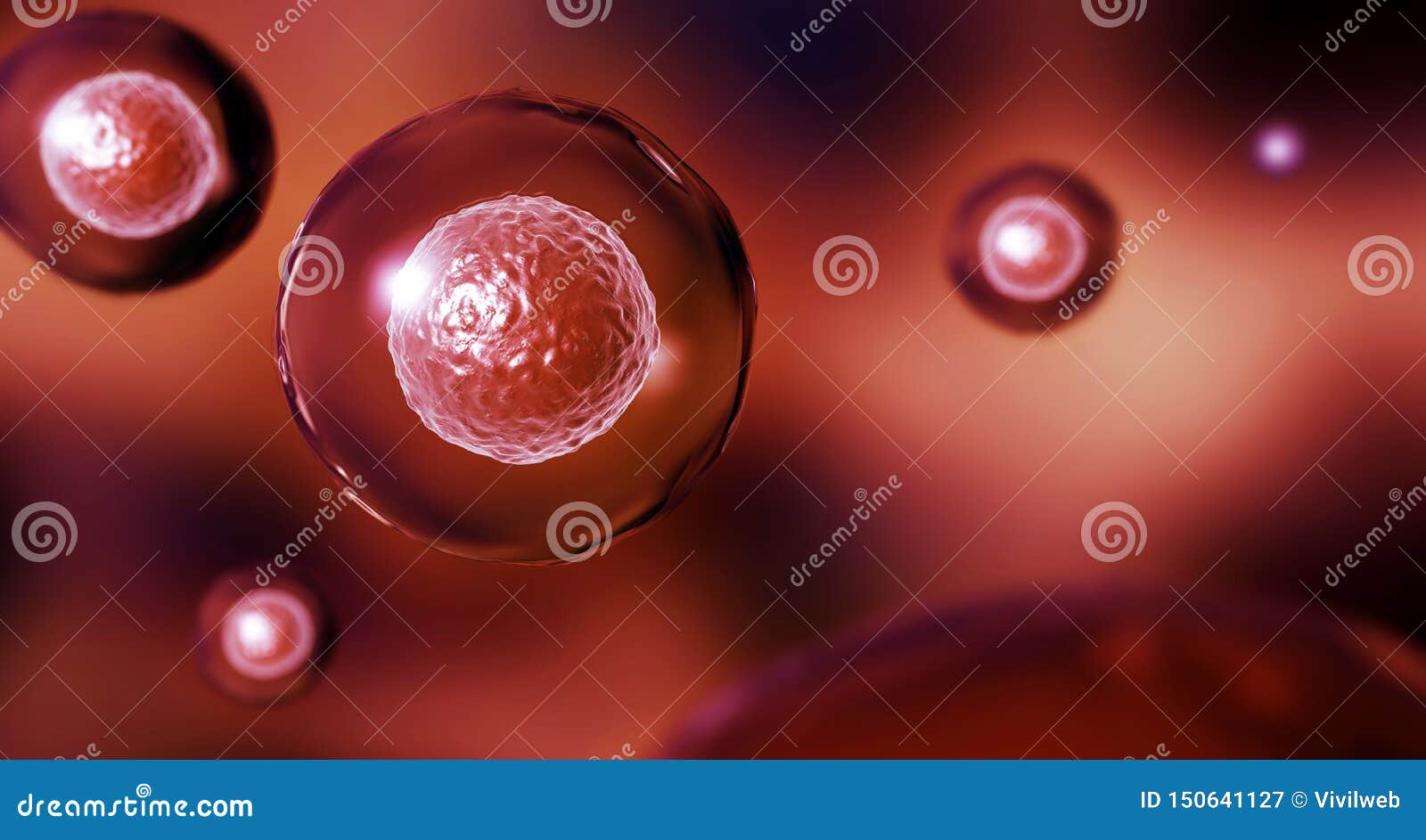 Embryonic Stem Divides Cells. Mitosis Under Microscope. 3D Illustration ...